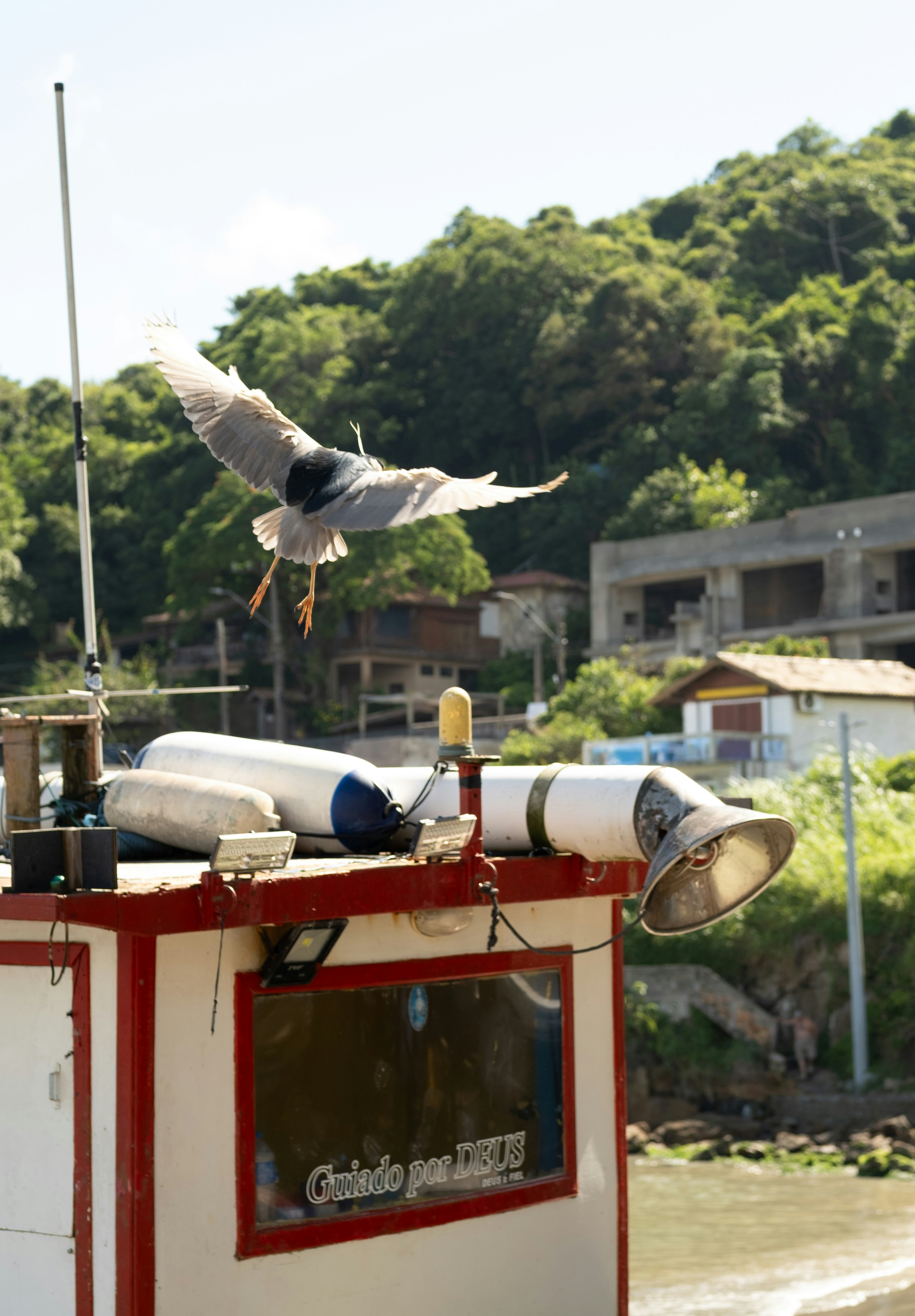 Seagull Drops a Tale Over a Red-Topped Vessel