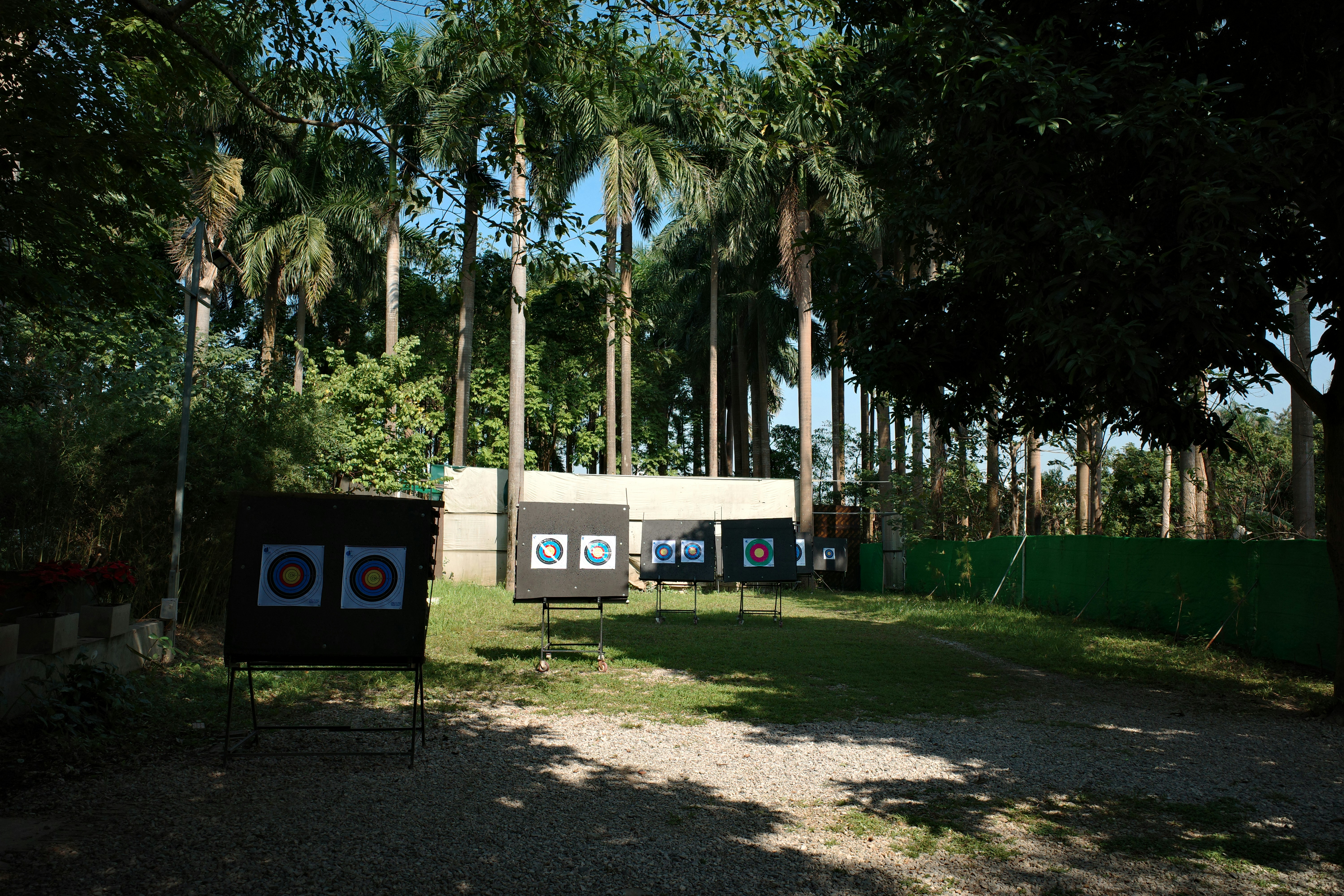 Targets in a Sunlit Clearing: An Outdoor Archery Practice
