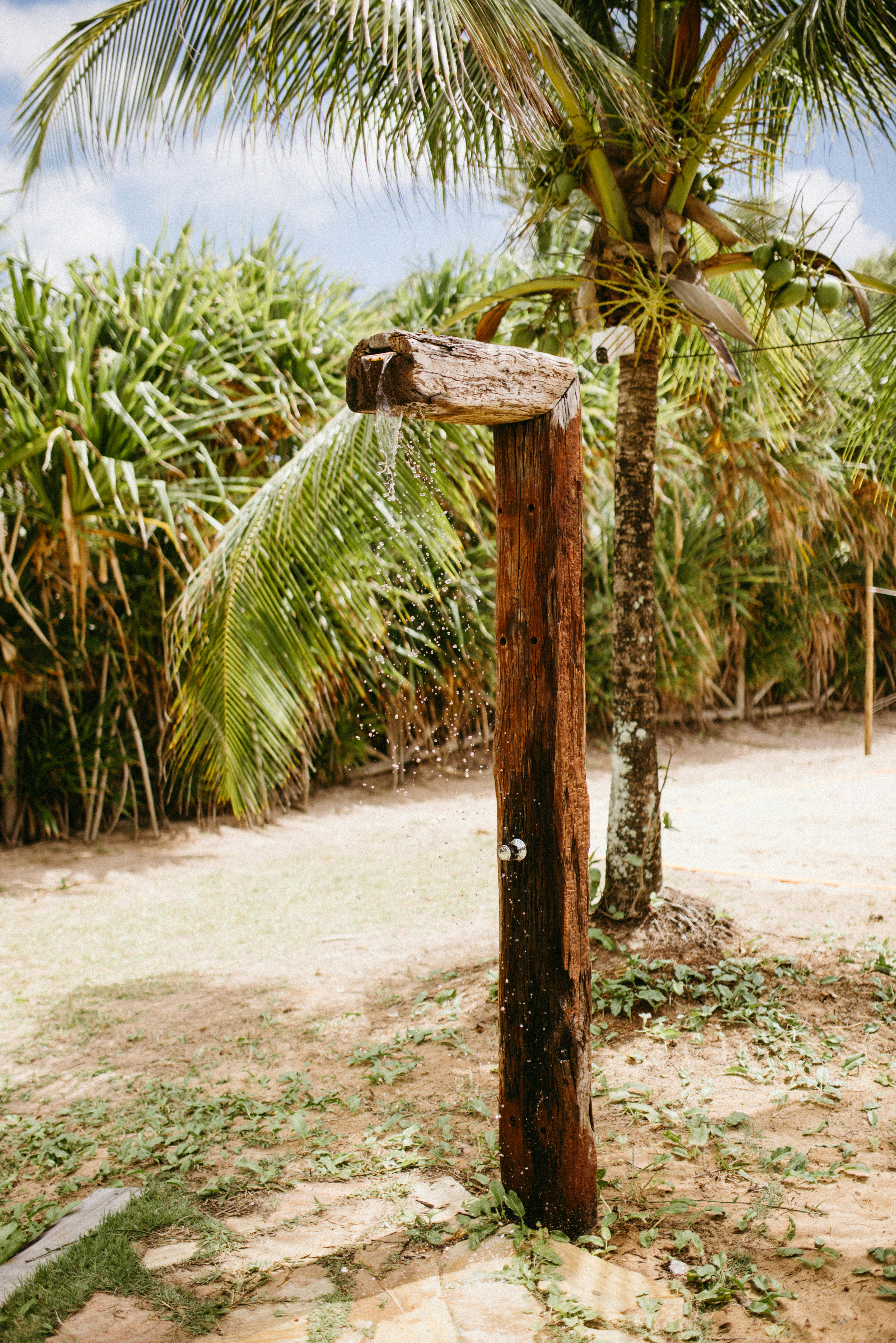 Tropical Outdoor Shower: A Weathered Post in a Sunlit Oasis