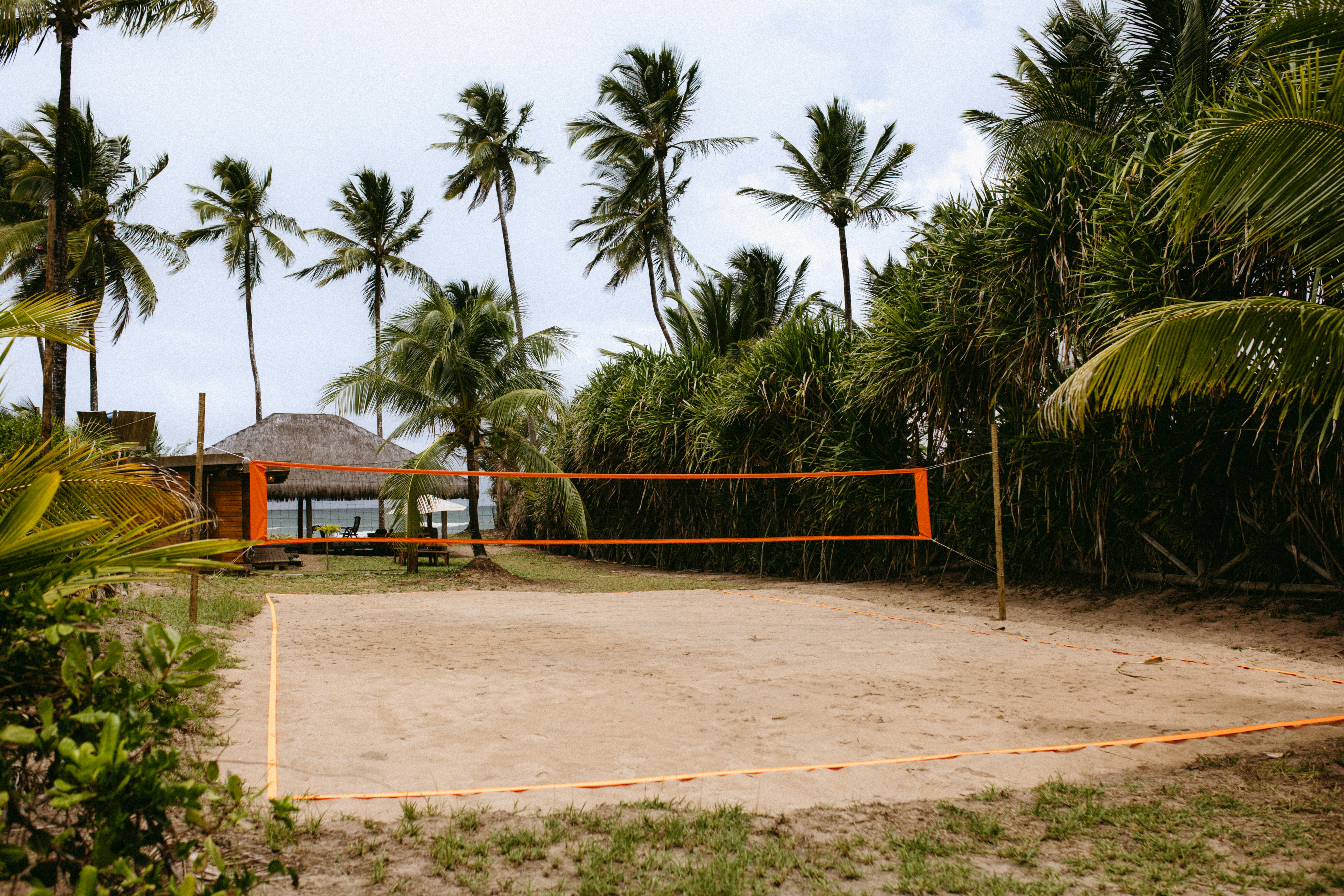 Sunlit Sand Court Beneath Whispering Palms