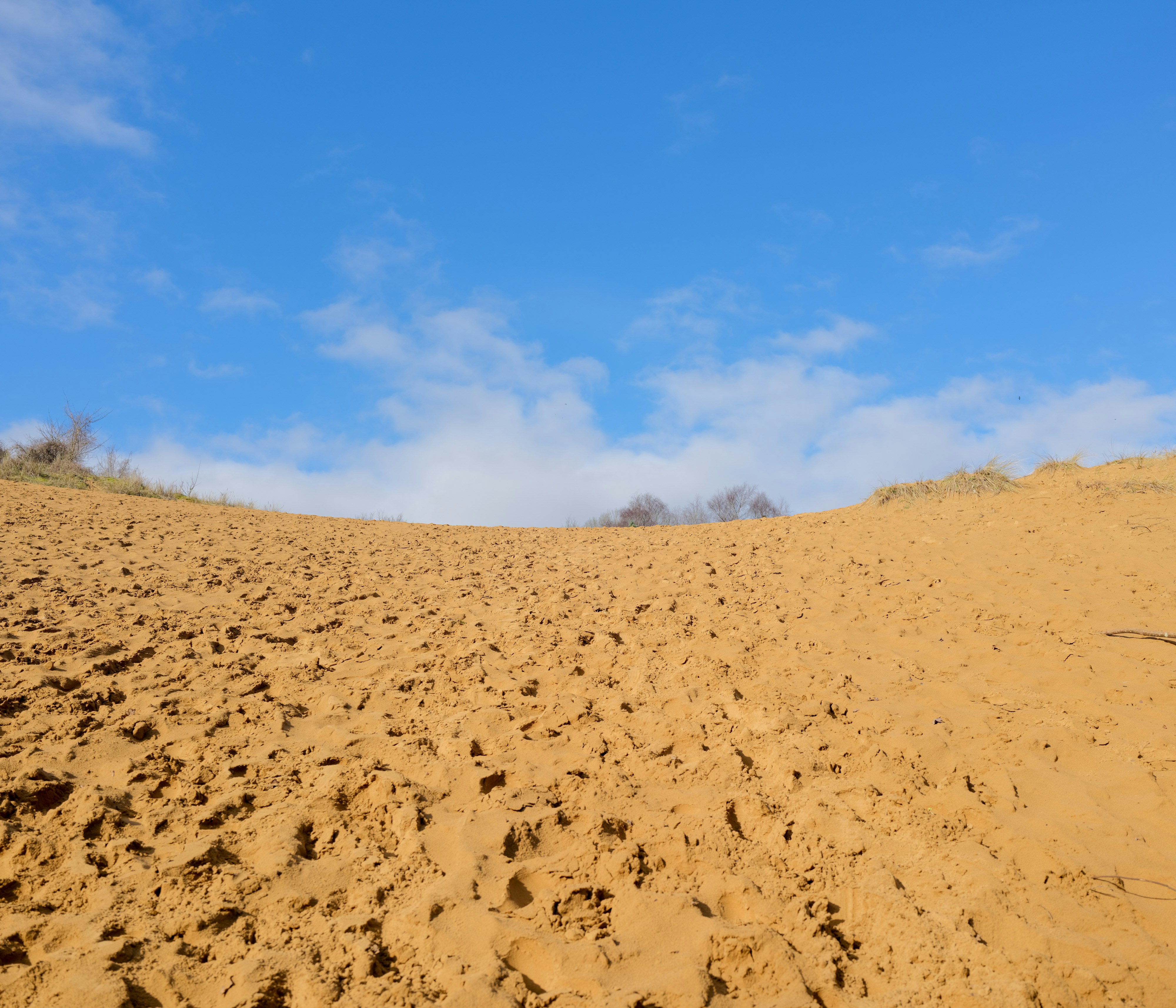 Desert Ridge: Footprints Carved in Golden Dune Under a Bright Sky