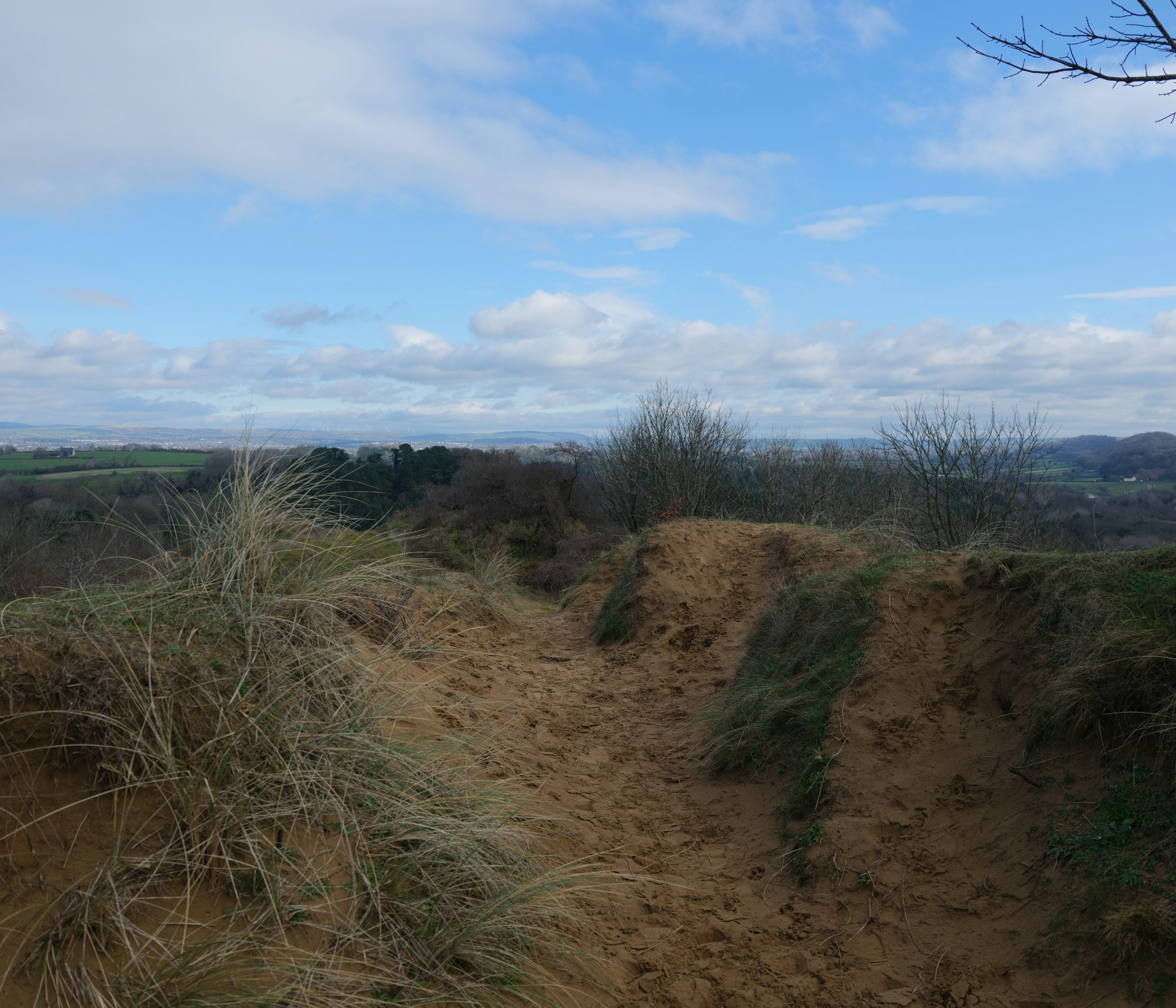 Dune Path into the Horizon