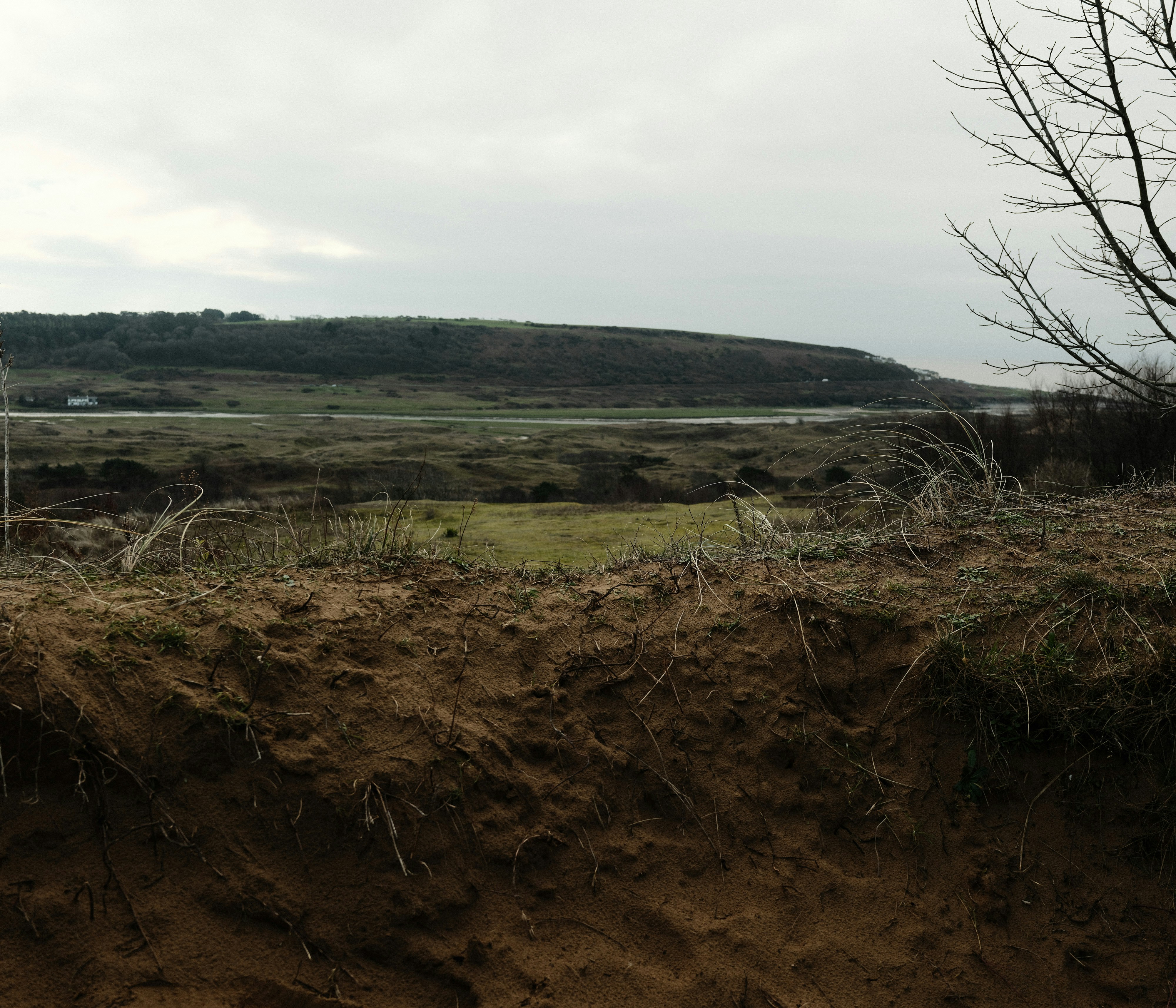 Desolate Embankment Overlook: Layered Landscape Under a Grey Sky
