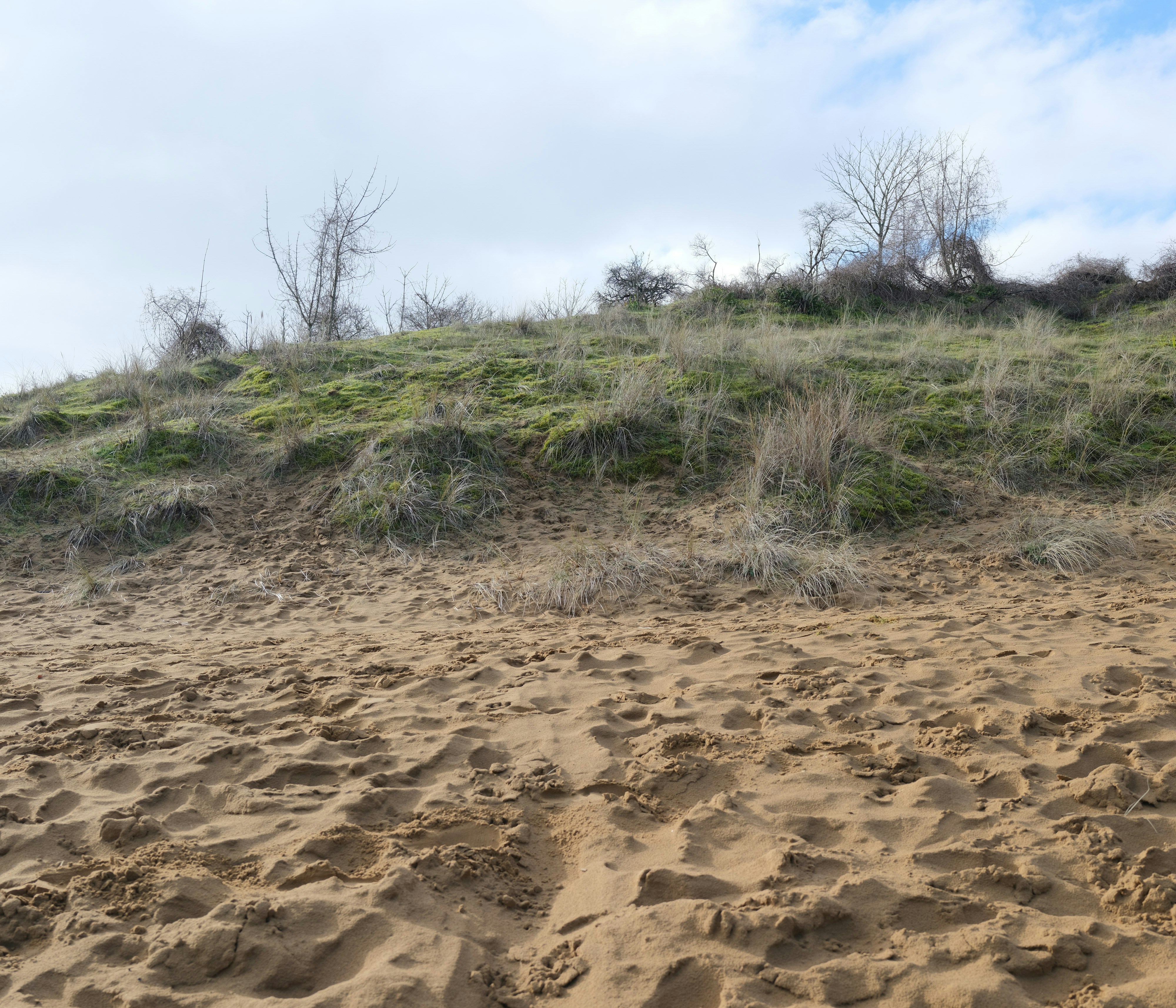Sand Dunes and Sparse Brush: Quiet Boundary Between Shore and Sky
