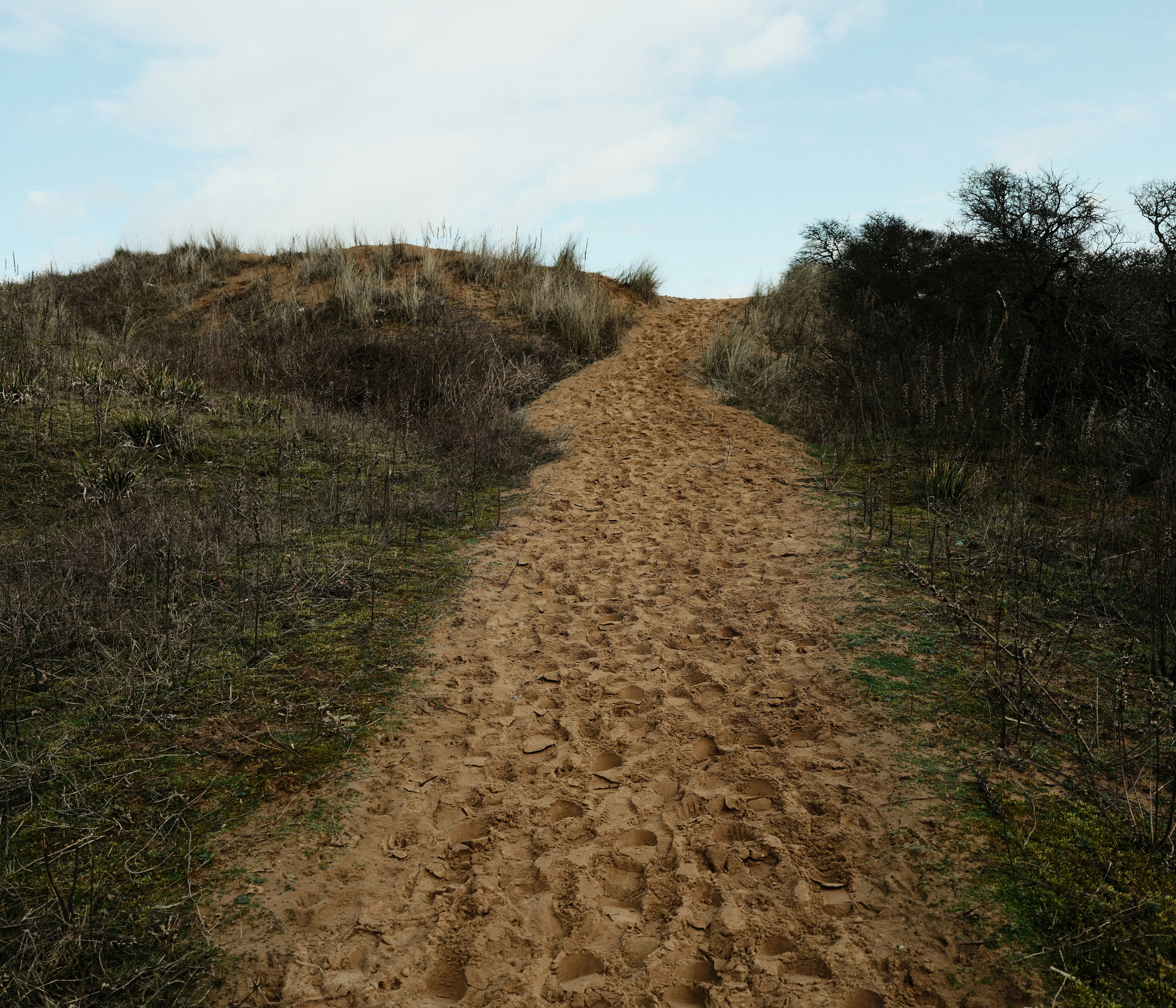 Trail to the Dune Ridge: a sunlit, worn path through scrub