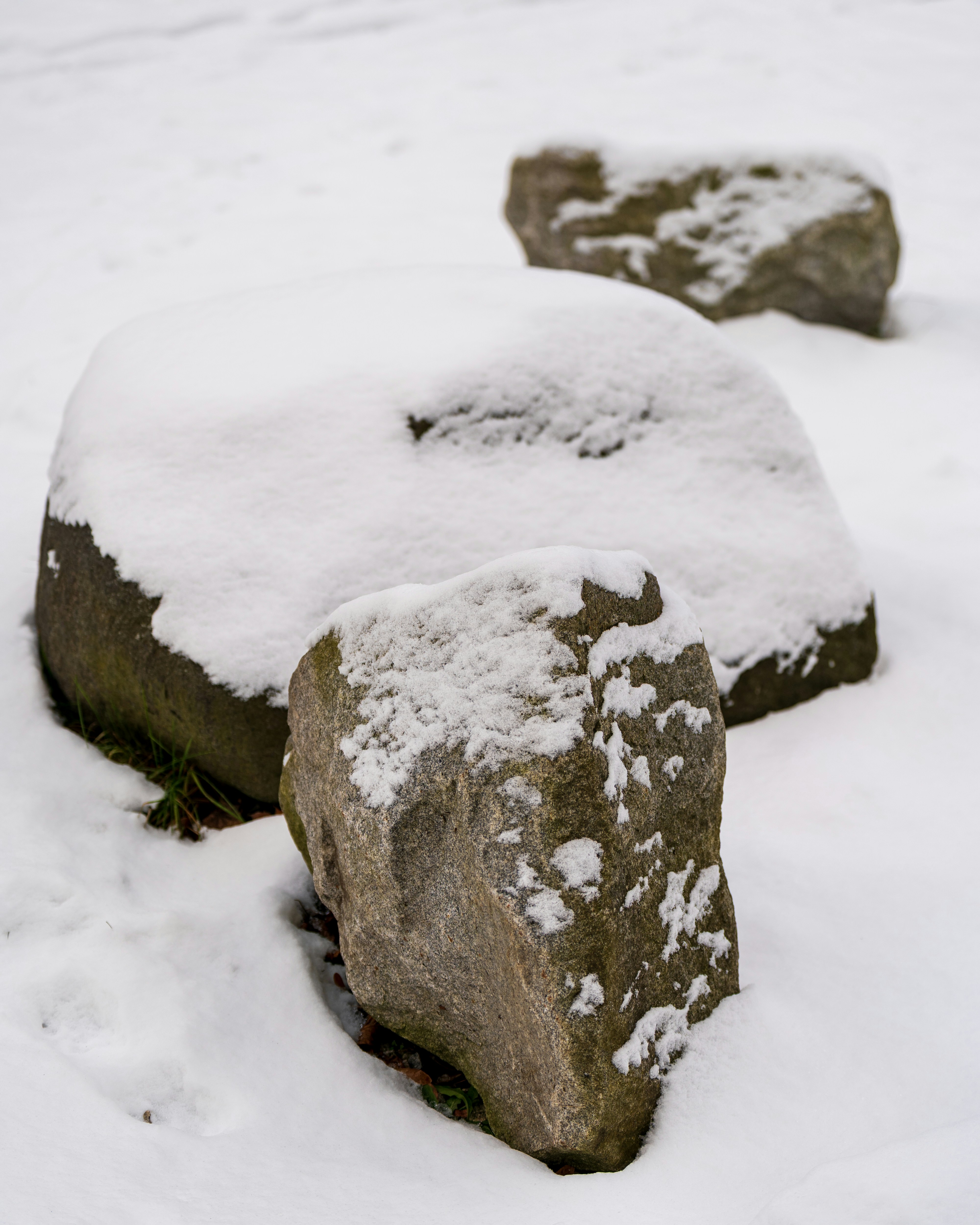 Snow-Capped Stones: A Quiet Moment Between Weathered Rocks
