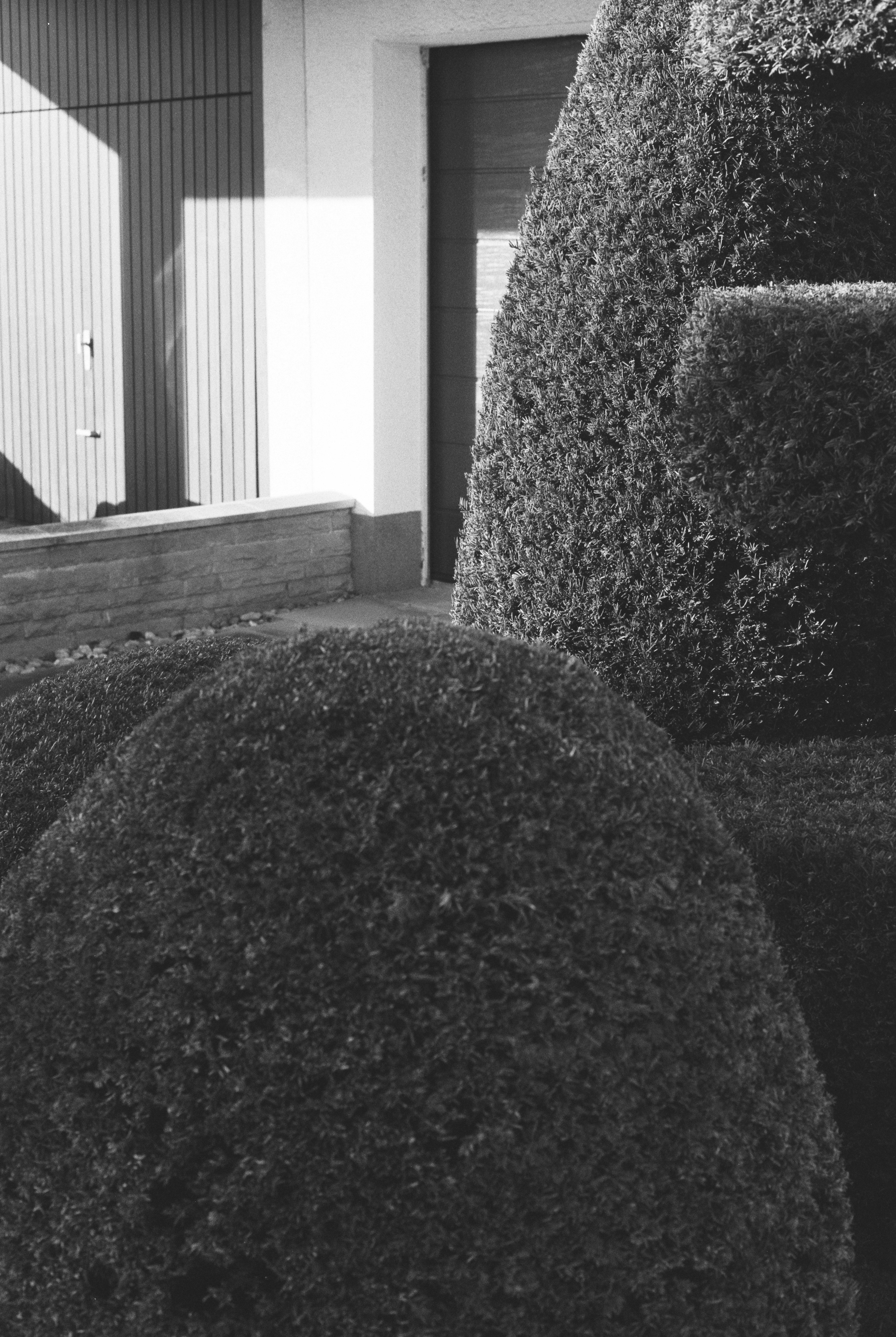 Shot on Kentmere Pan 400