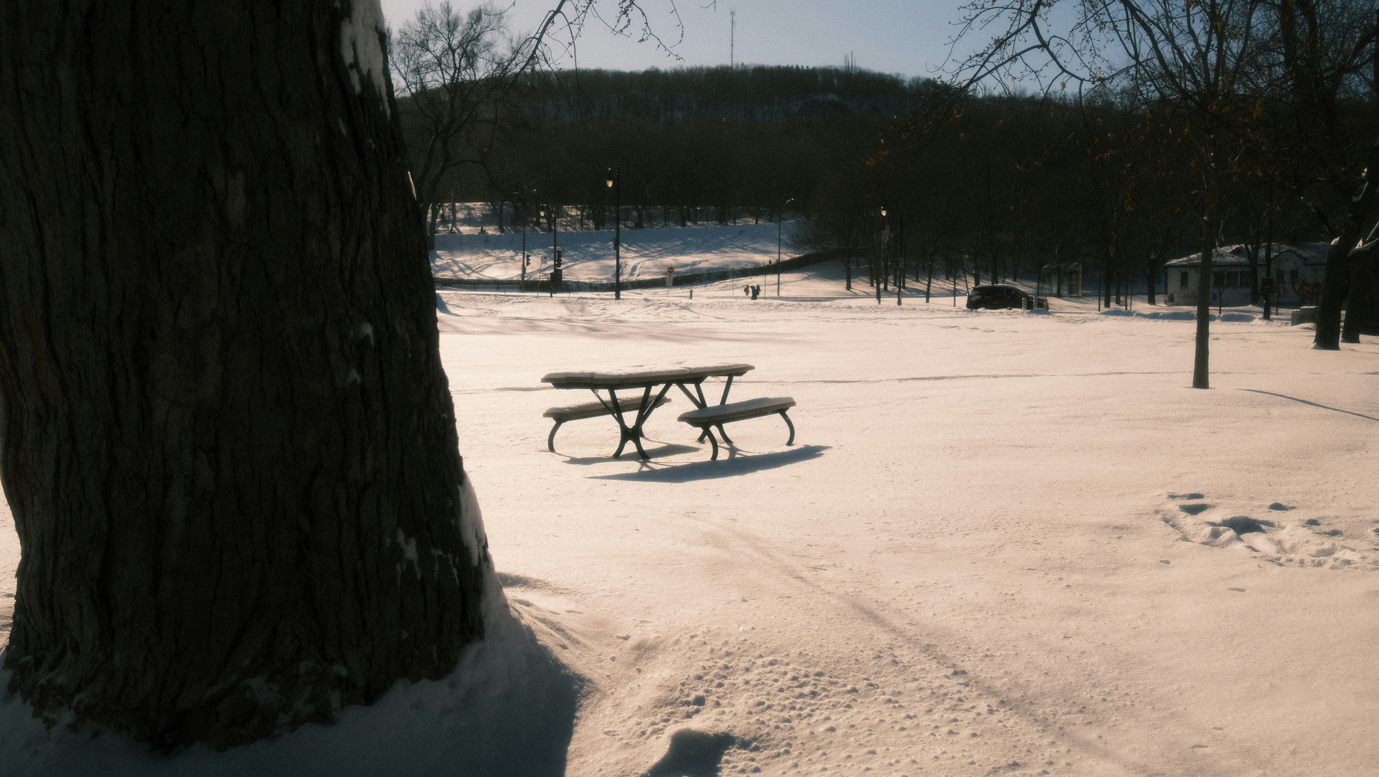Snow-Cathed Picnic Table Under Winter Light