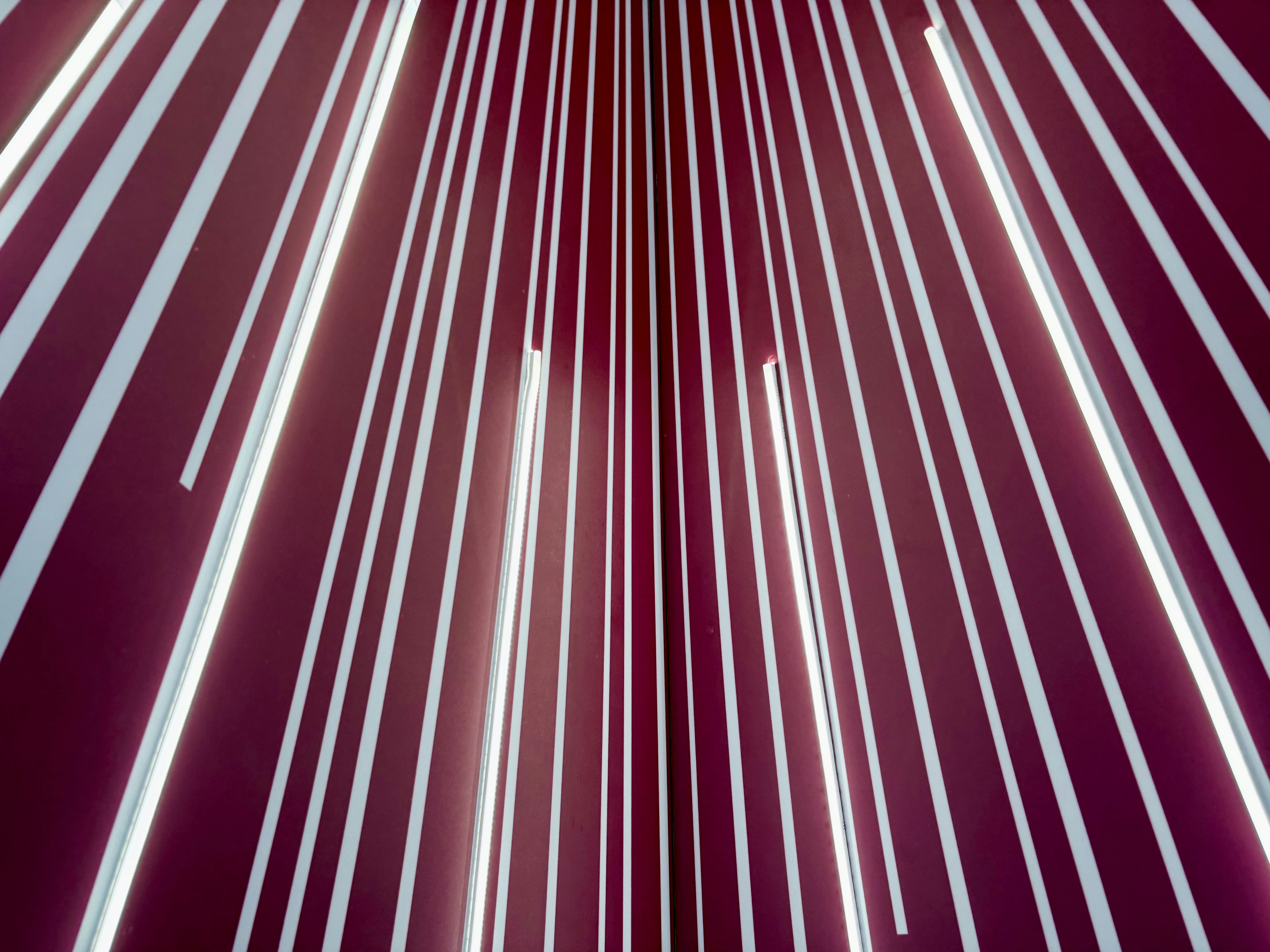 Neon Rainfall: Fiber Lights Converge into a Veil of Magenta