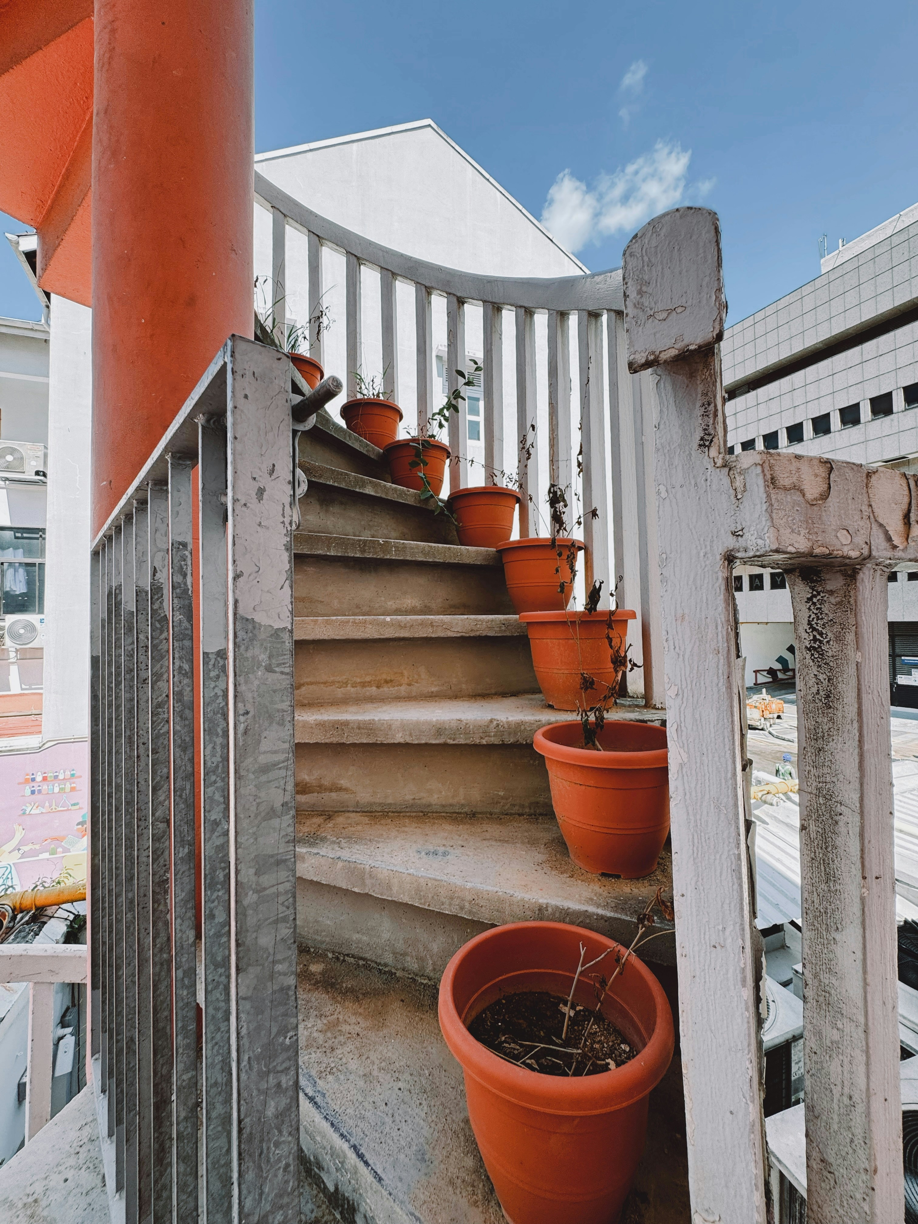 Terracotta Sentinels: A Staircase of Potted Tales