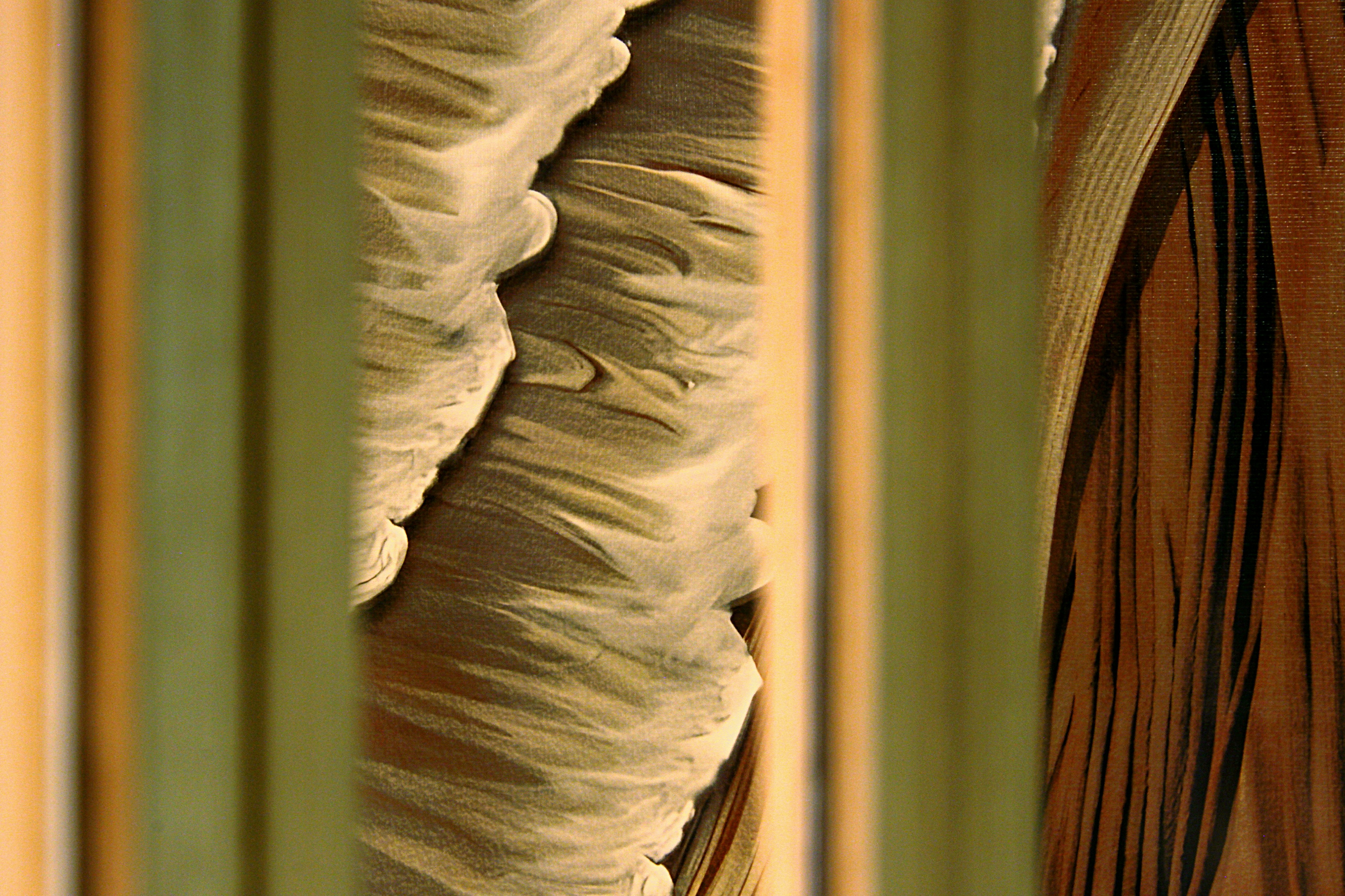 Vertical Striations: Abstract Strands between Golden Hues