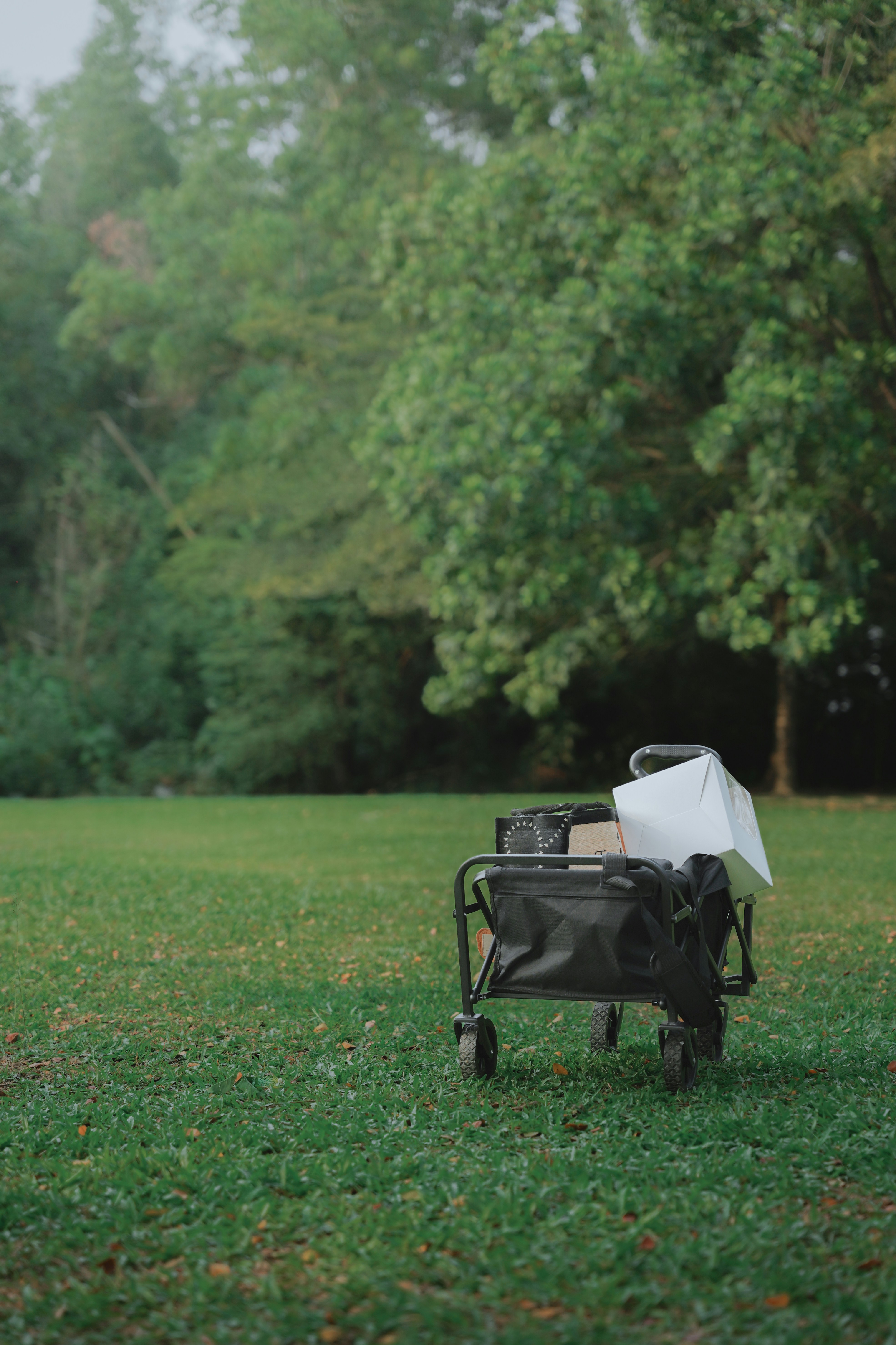 A lone garden cart with a folded umbrella rests on a sunlit lawn