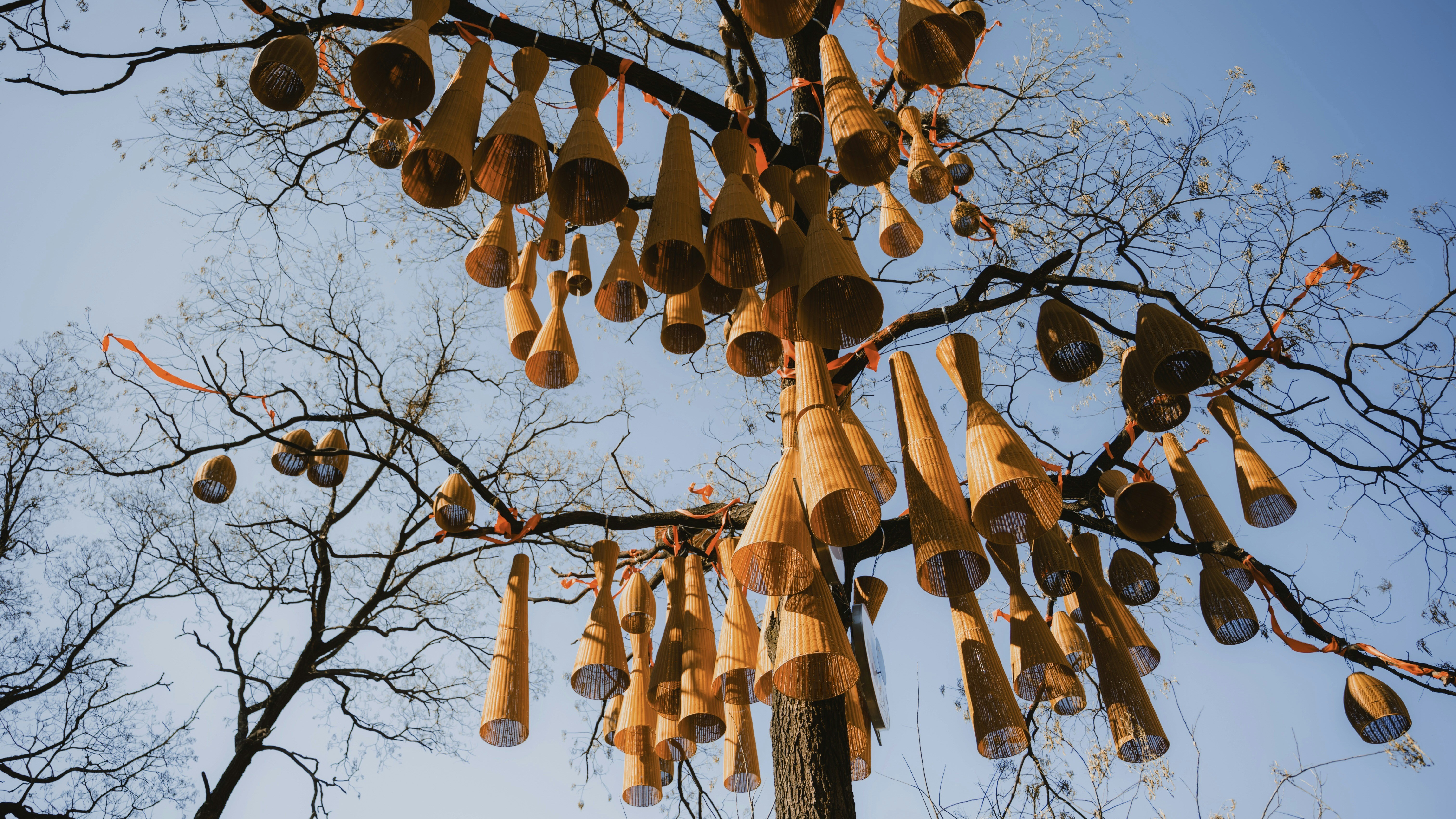 Forest Choir of Wooden Cones Against a Clear Winter Sky
