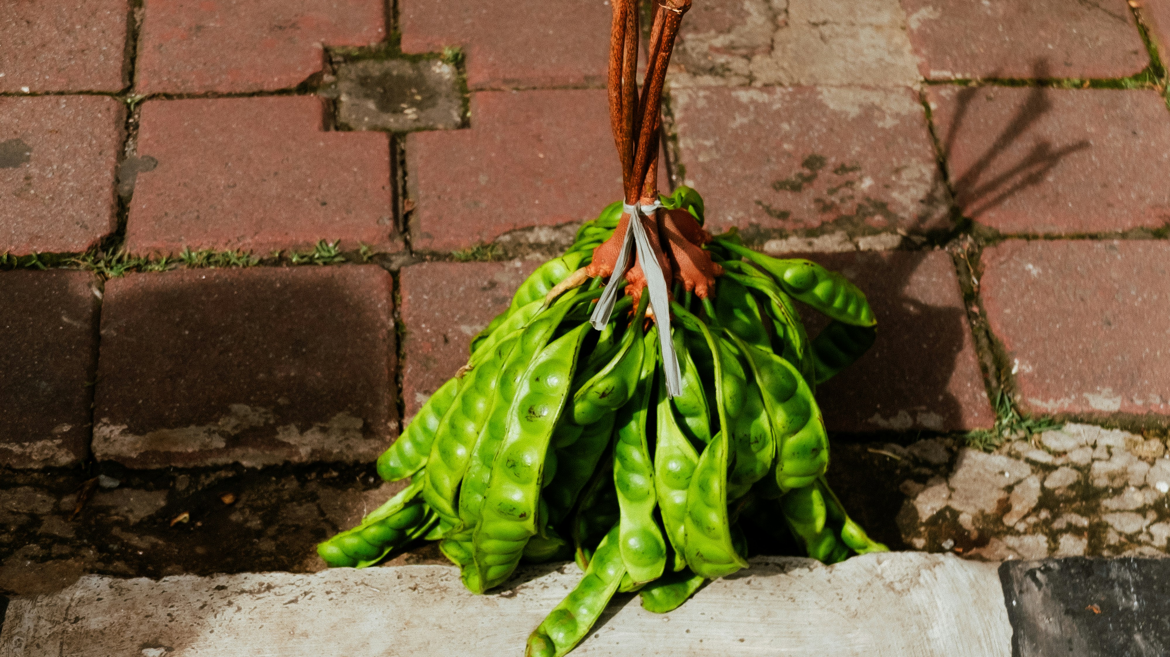 Green Clutch of Odds and Ends