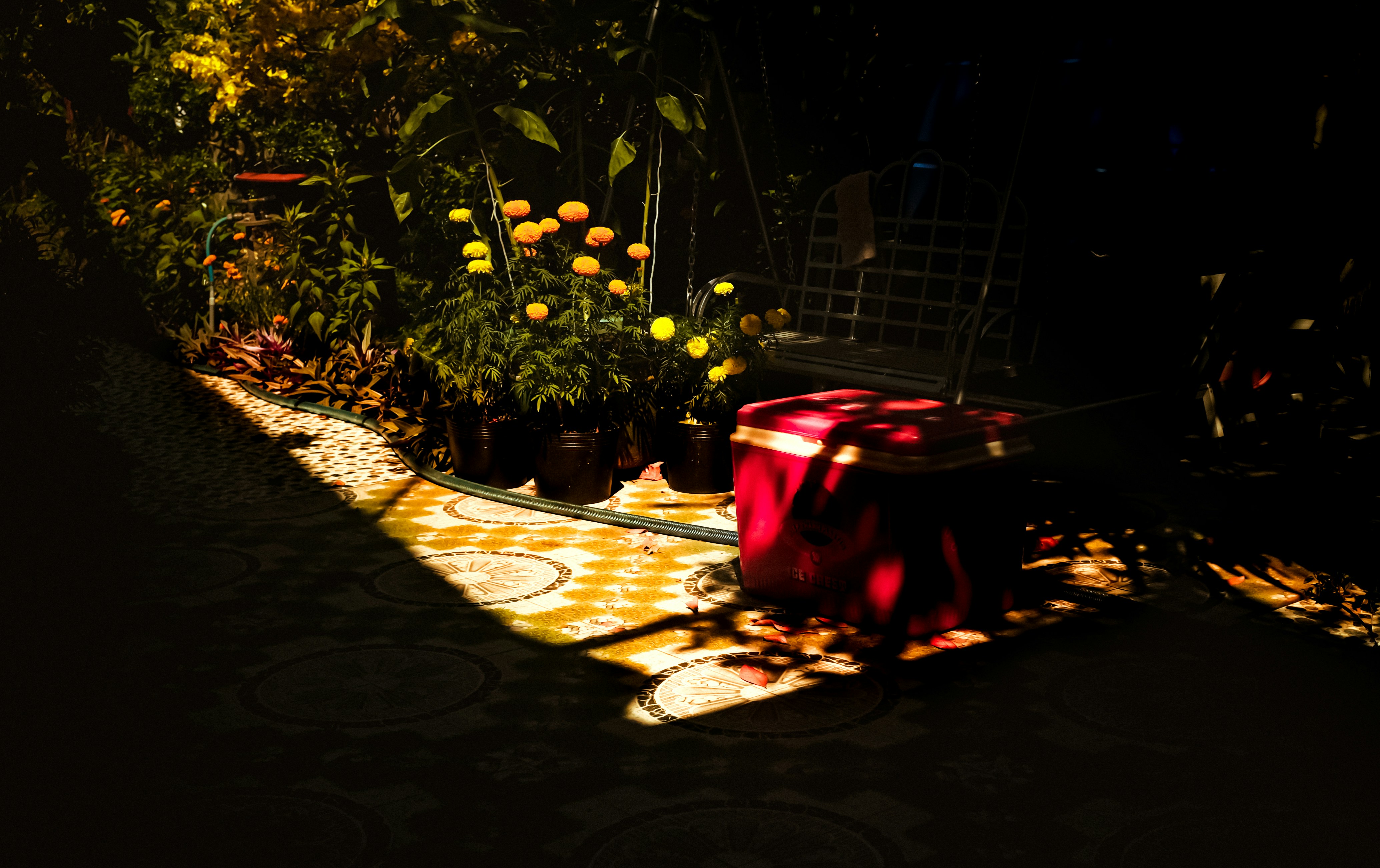 Sunlit Garden Tier: A Patch of Flora and a Red Stool in Dappled Shadow