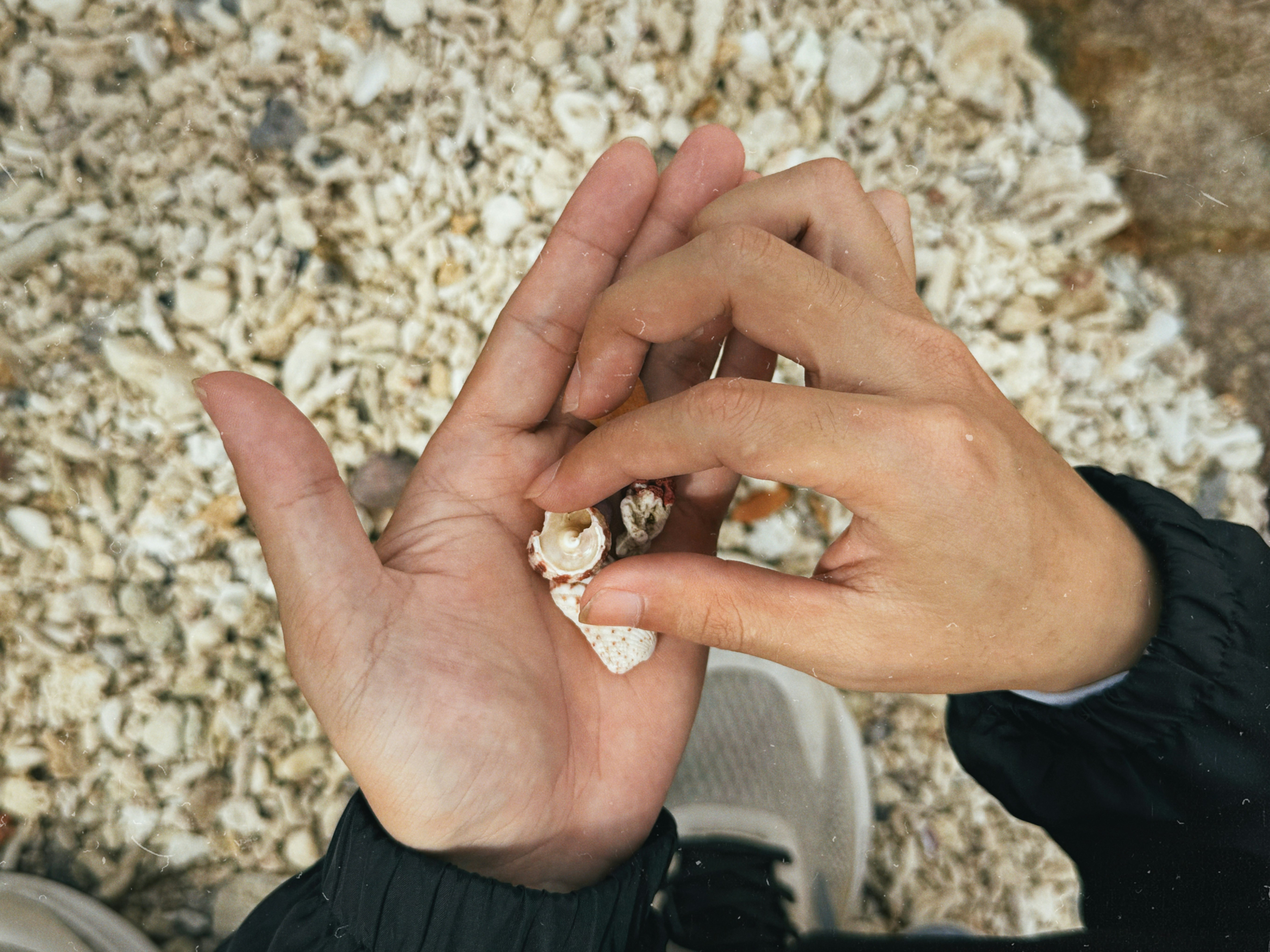 Hands in Focus: A Pebble-Home Moment on a Pebble Beach