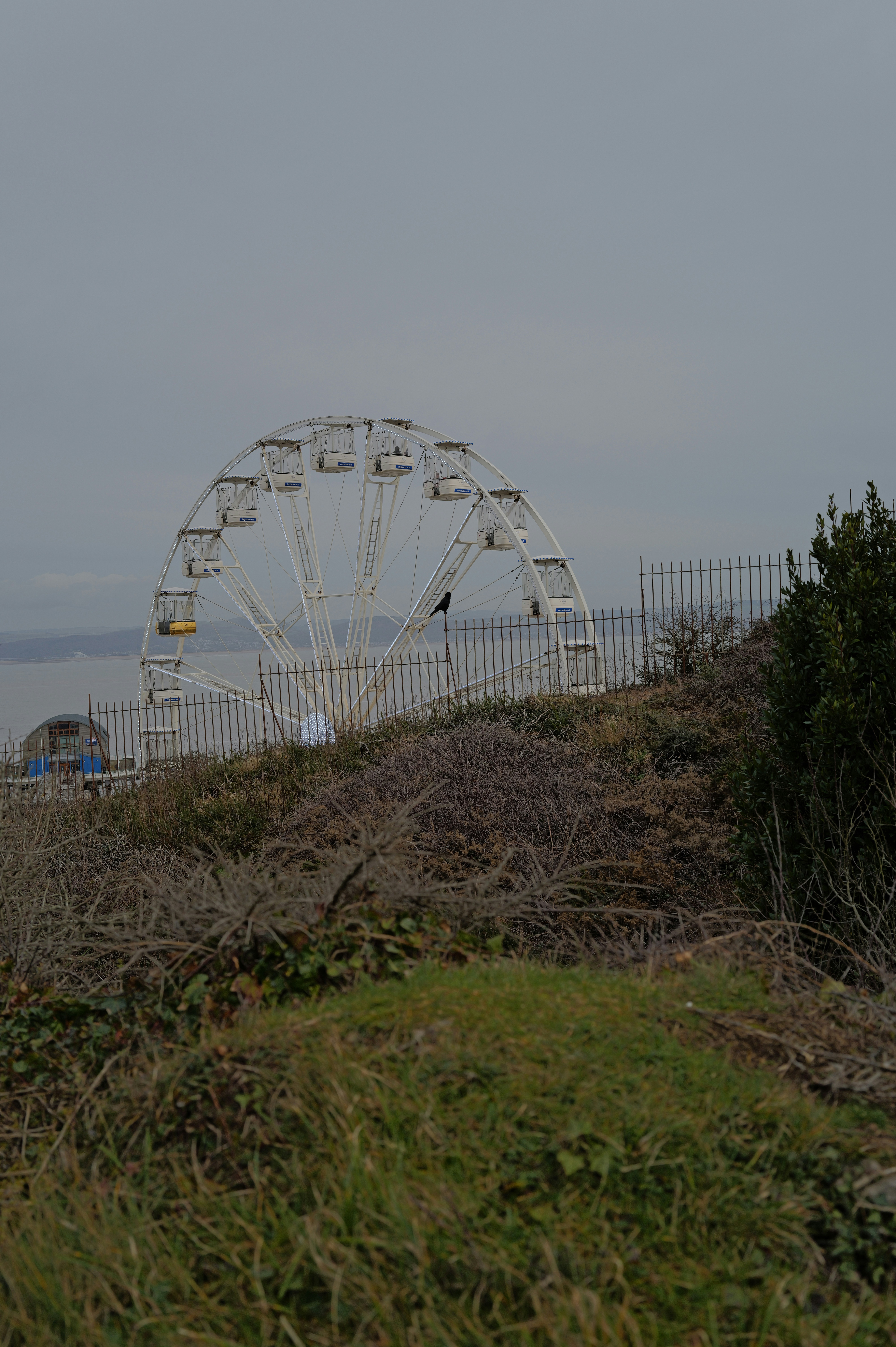 Wheel of the Coast: A Ferris Wheel Emerges from Coastal Scrub