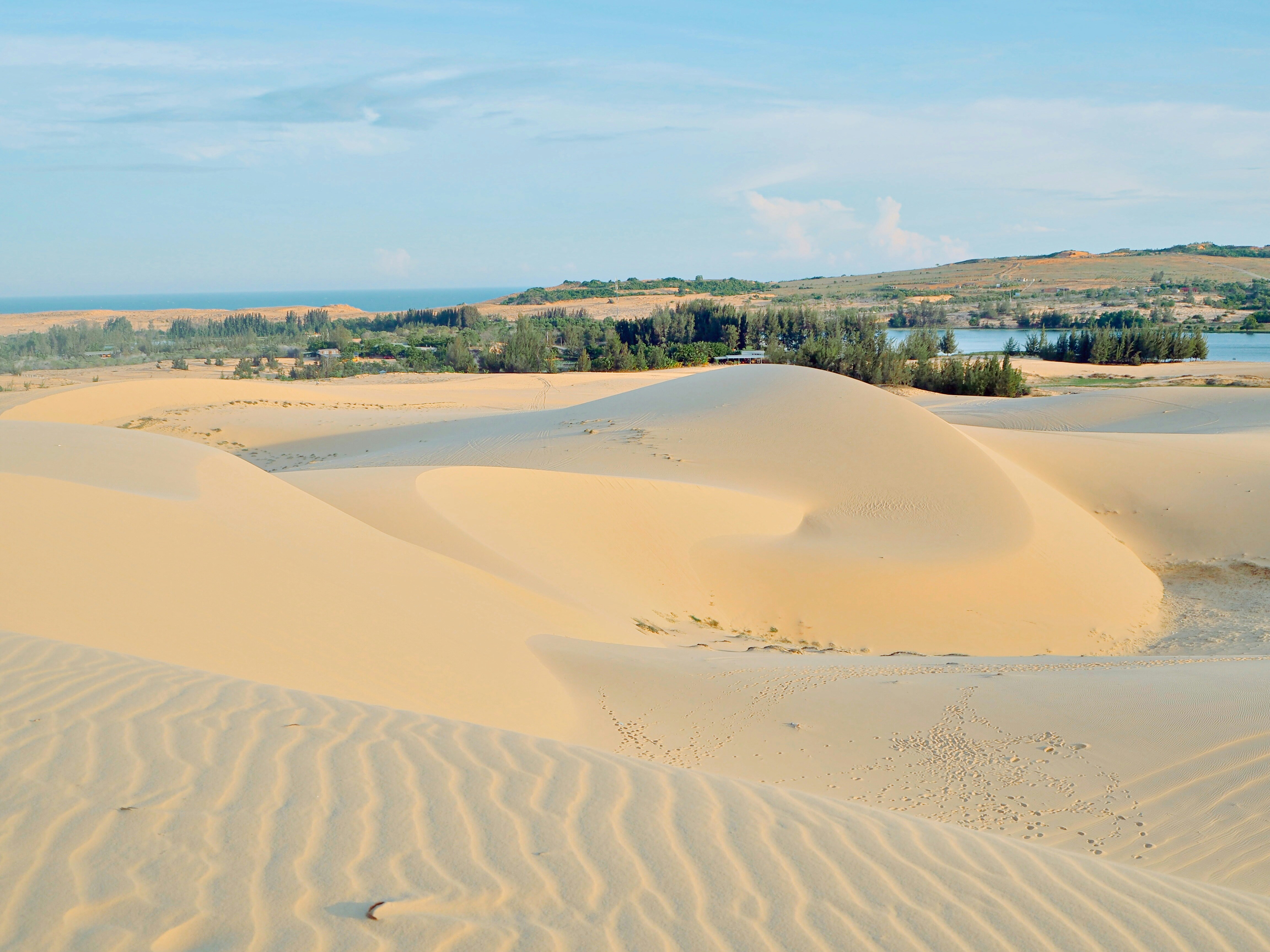 Whispering Dunes and a Quiet Horizon