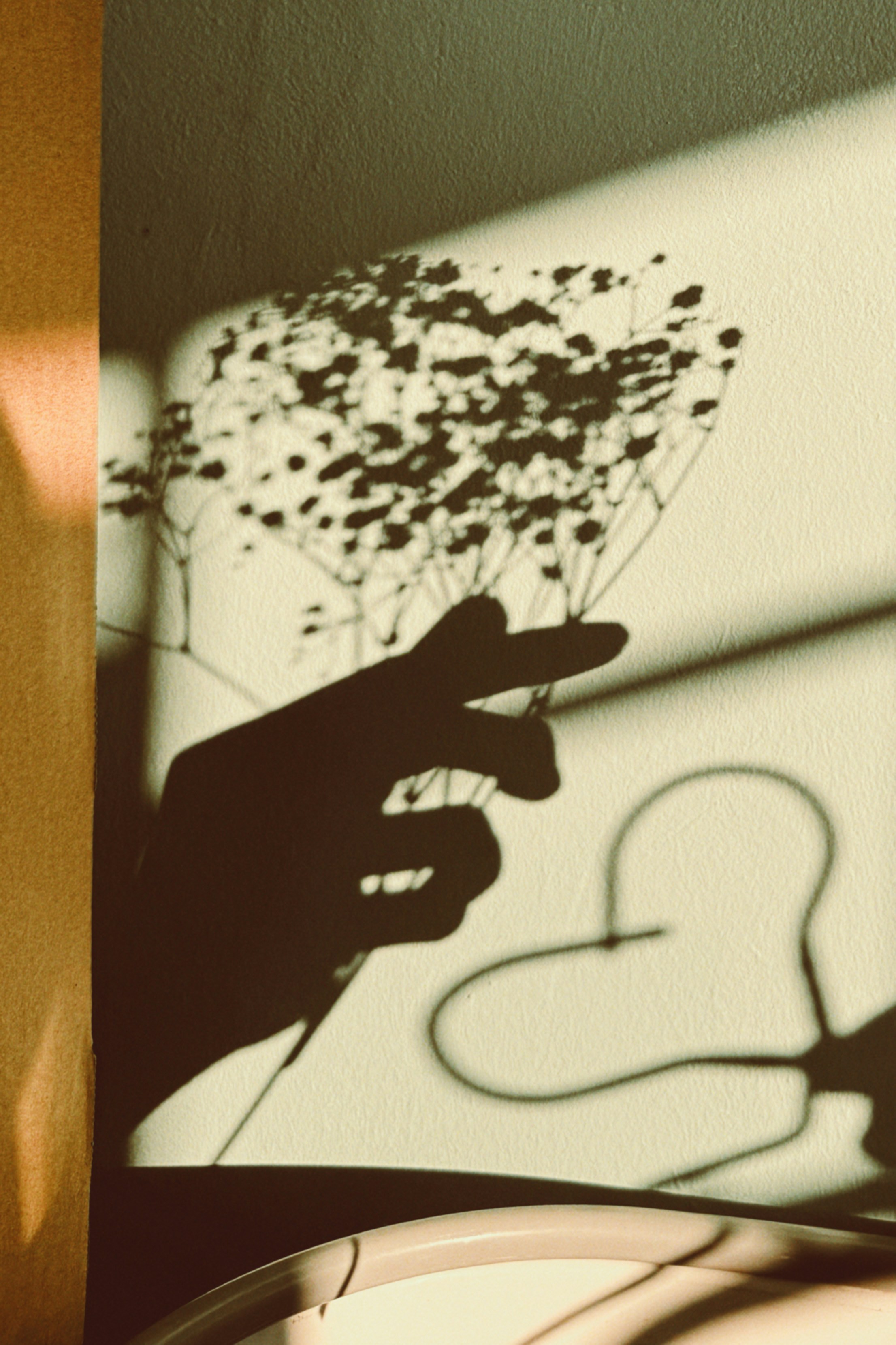 Shadow Bouquet: Delicate Florals Cast in Warm Light