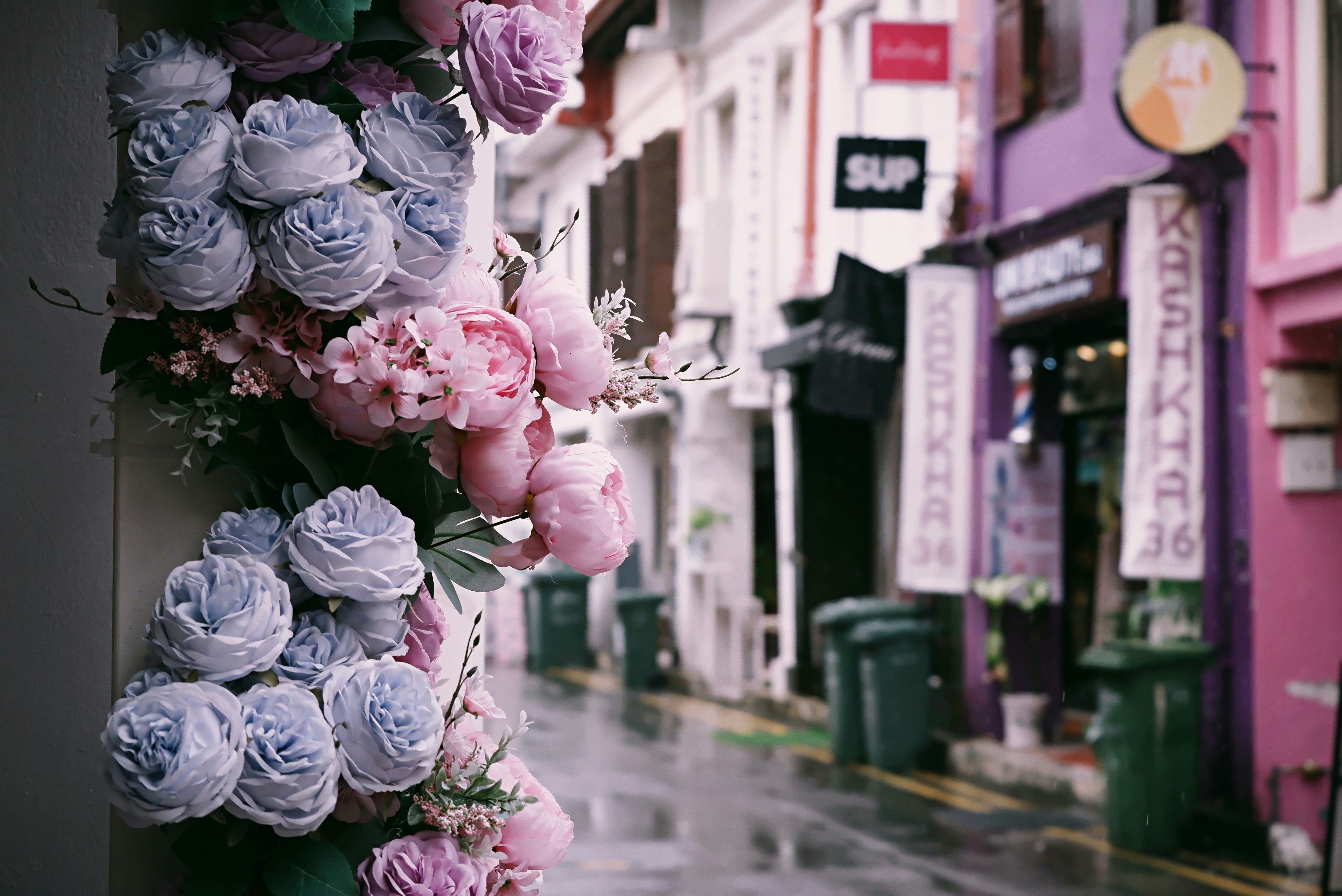 Petal Parade by the Rainy Lane