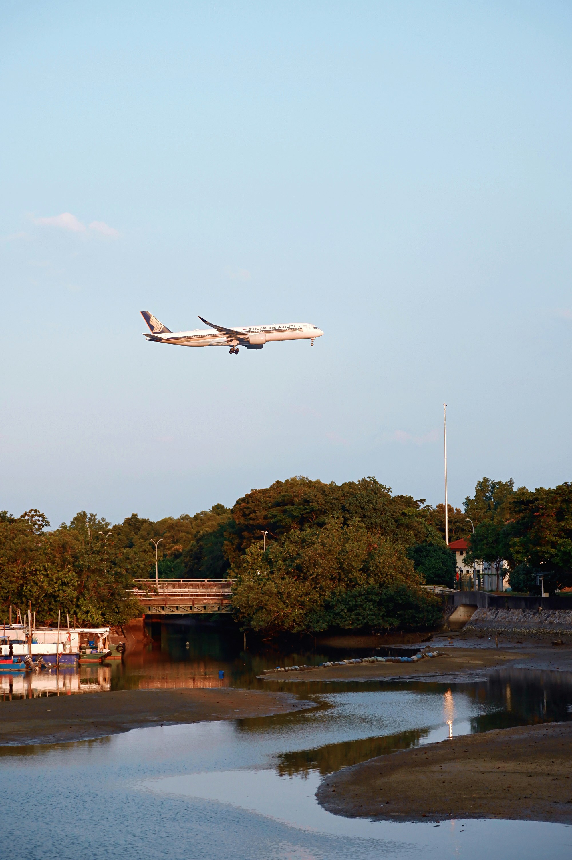 Approaching Horizon: A Jet Emerges Over the Riverbank