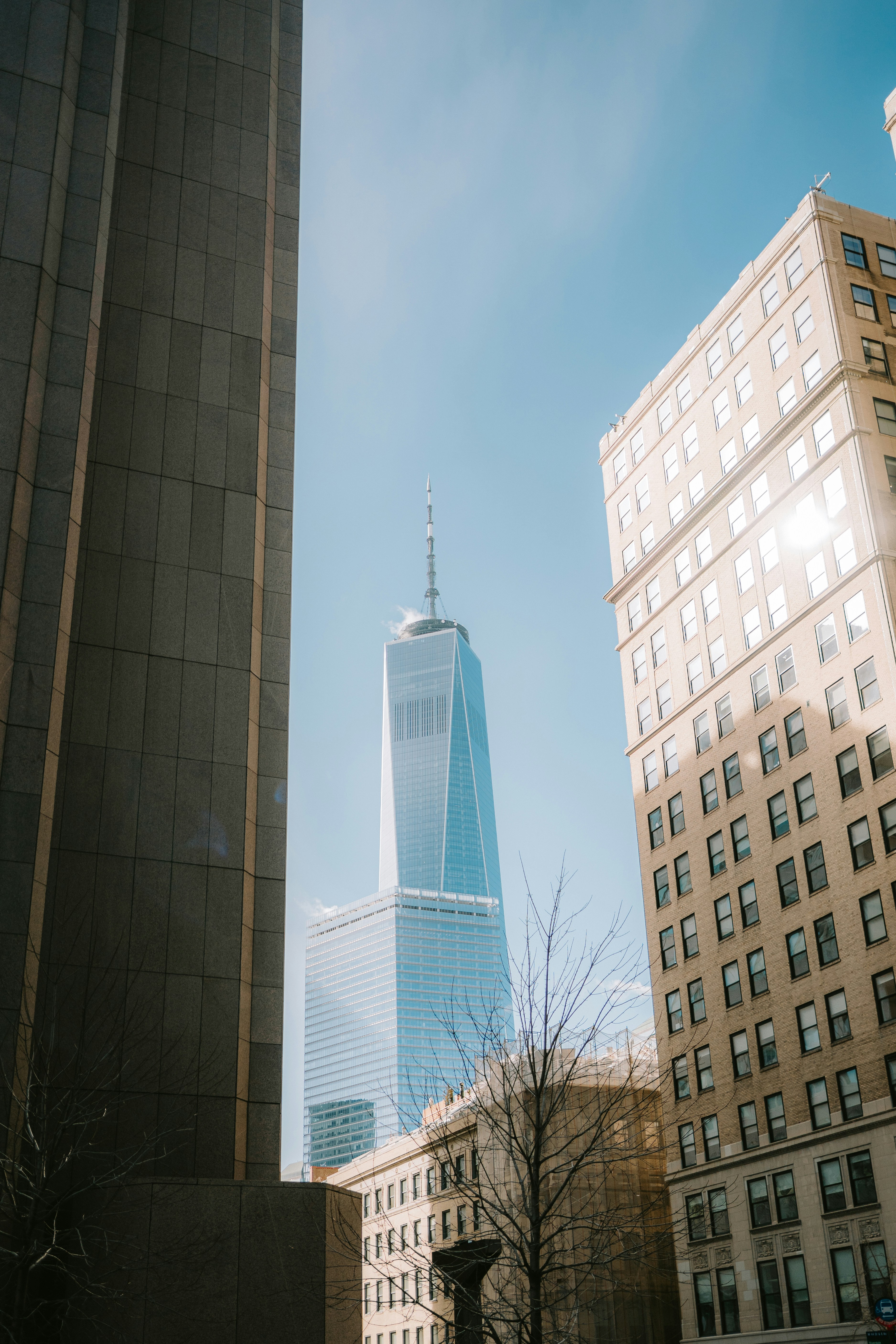 Skyscraper Slice: One World Reach Beneath a Clear Skyline