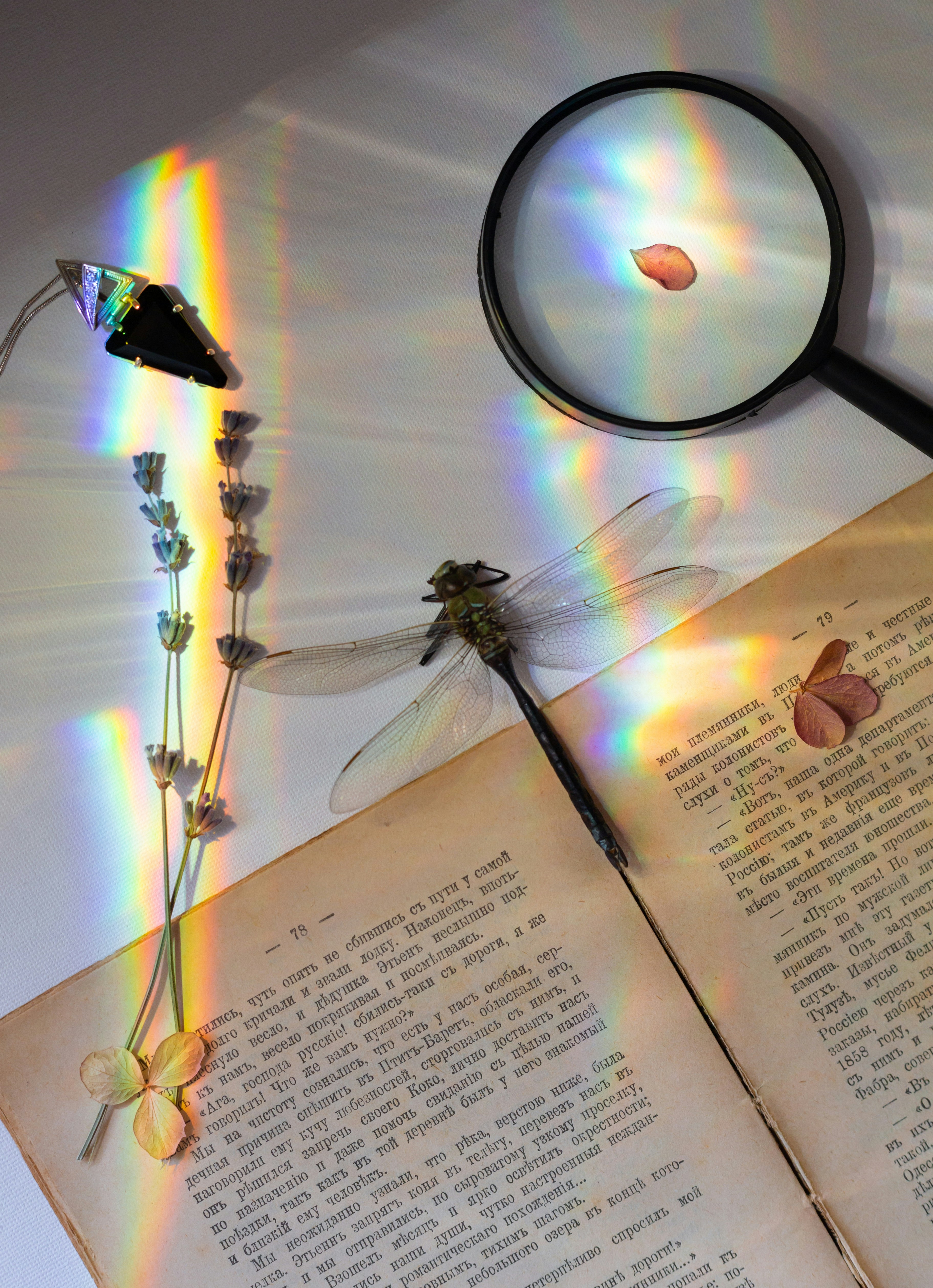 Rainbow Prism on a Page: Insect, Dragonfly, and Magnifying Glass