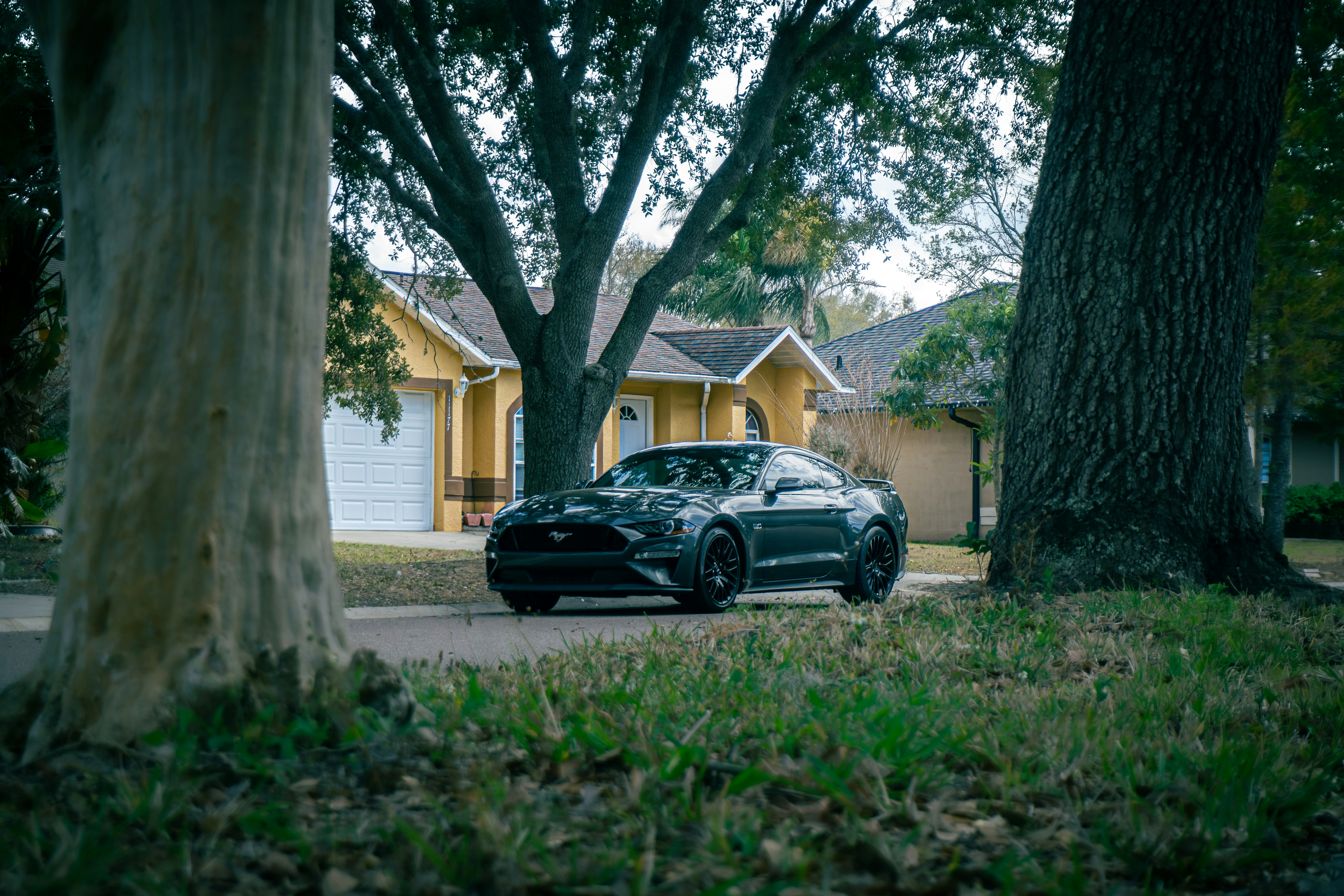 Midday Drift: A Black Sports Car Quietly Anchors a Suburban Drive