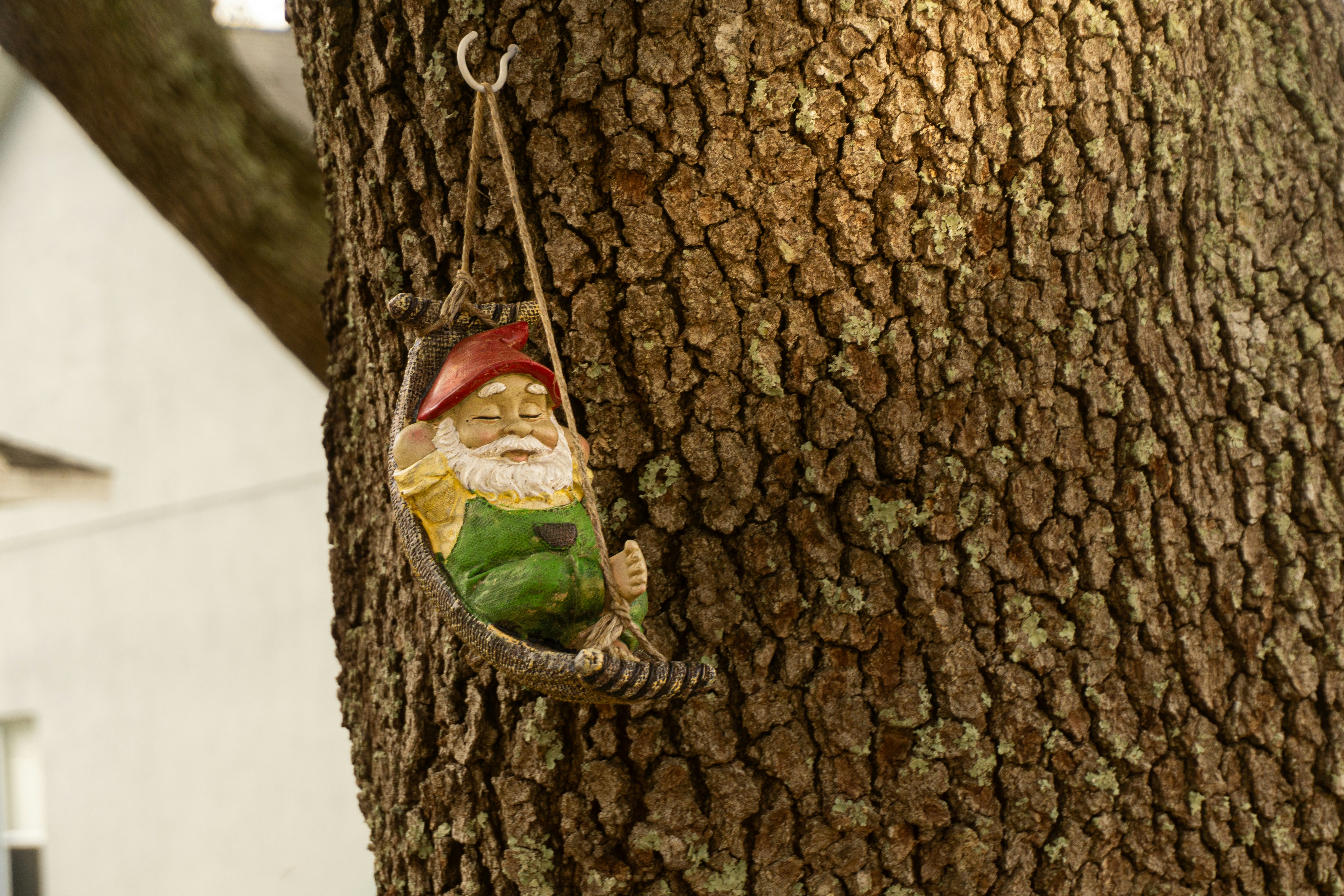 Gnome in a Tree Swing: Quiet Whimsy on Barked Stage