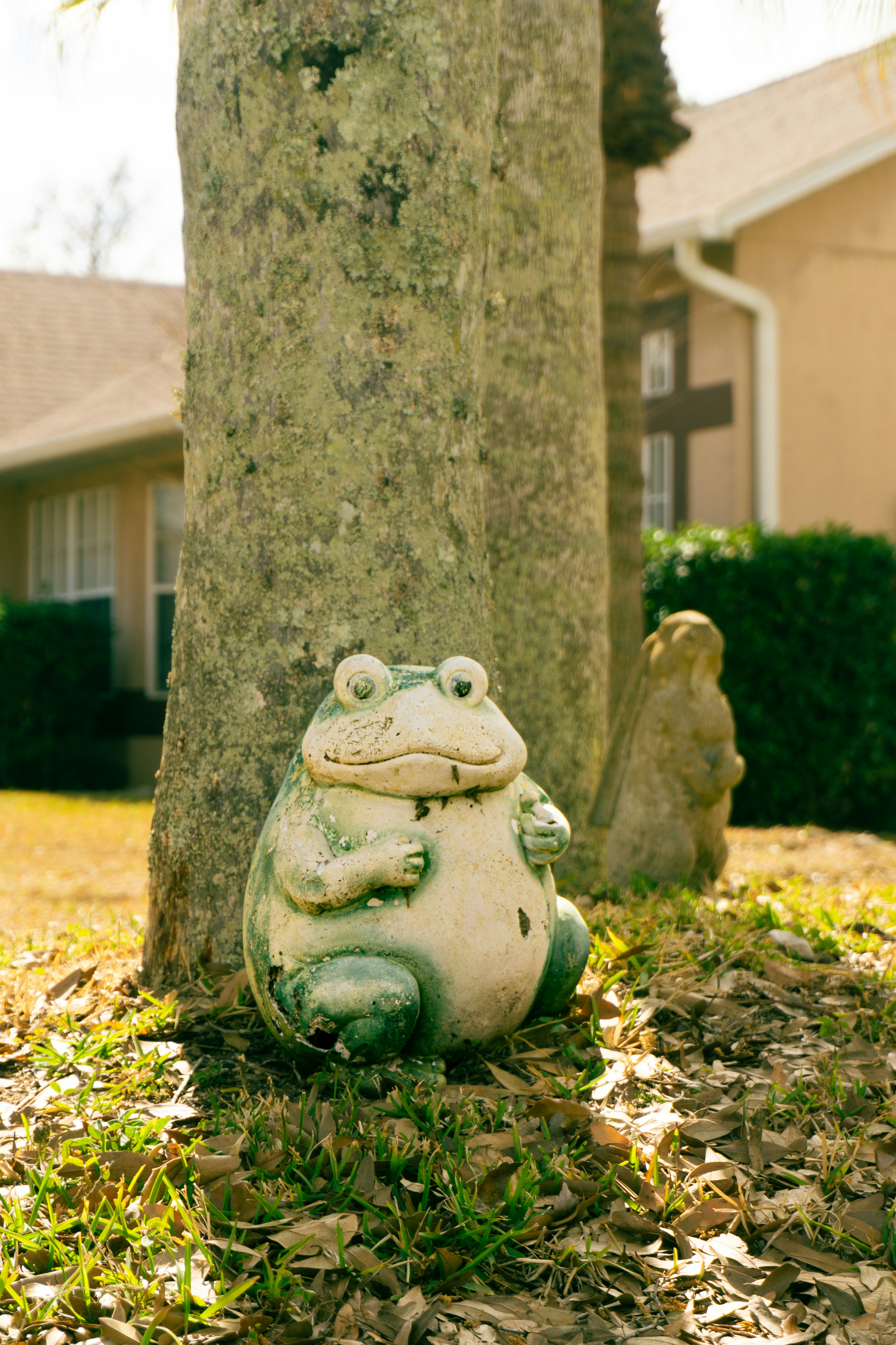 Grinning Garden Keeper: A Weathered Frog Statue Under a Trunk