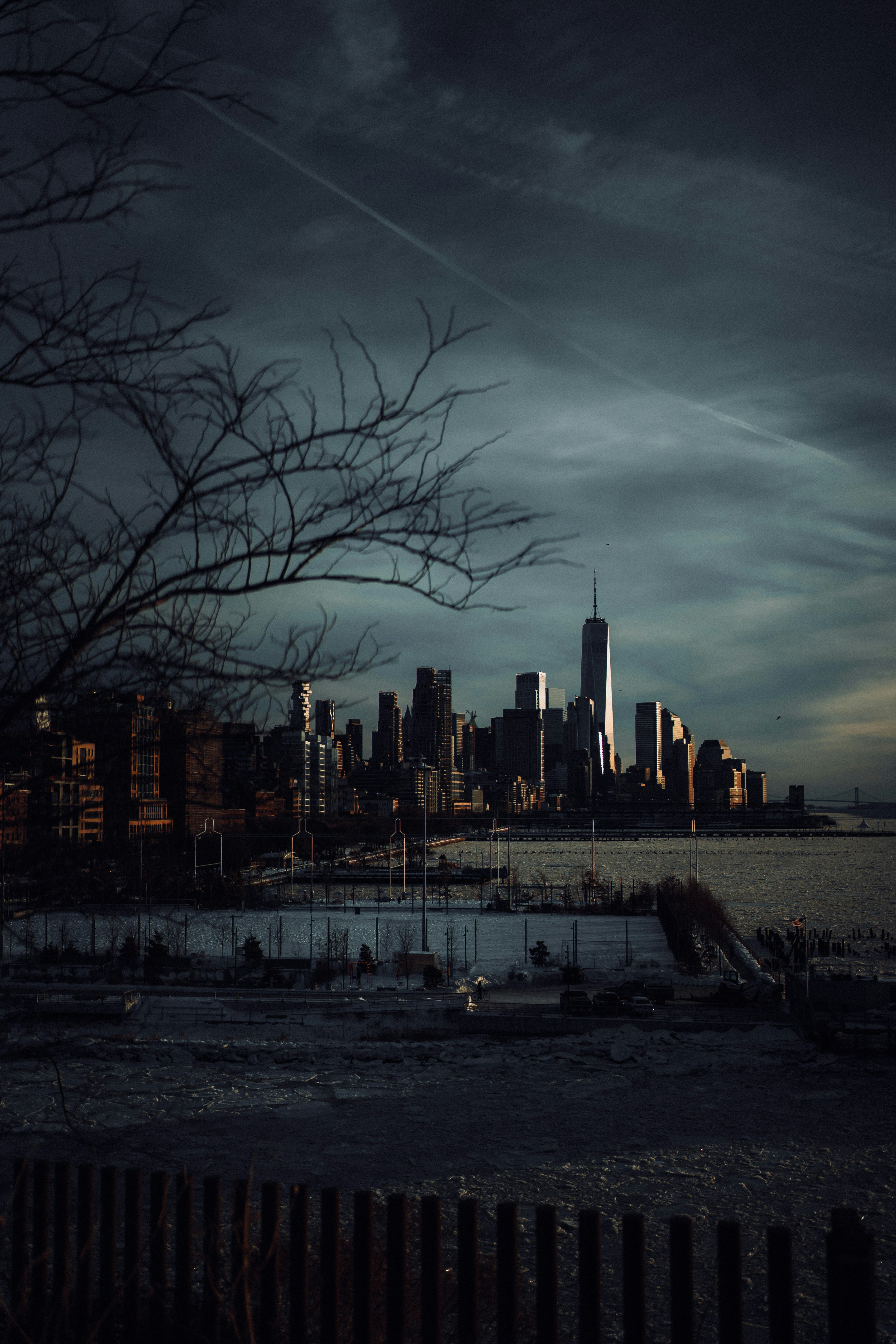 Twilight Silhouette Over the Skyline: A Seawall View with Bare Branches