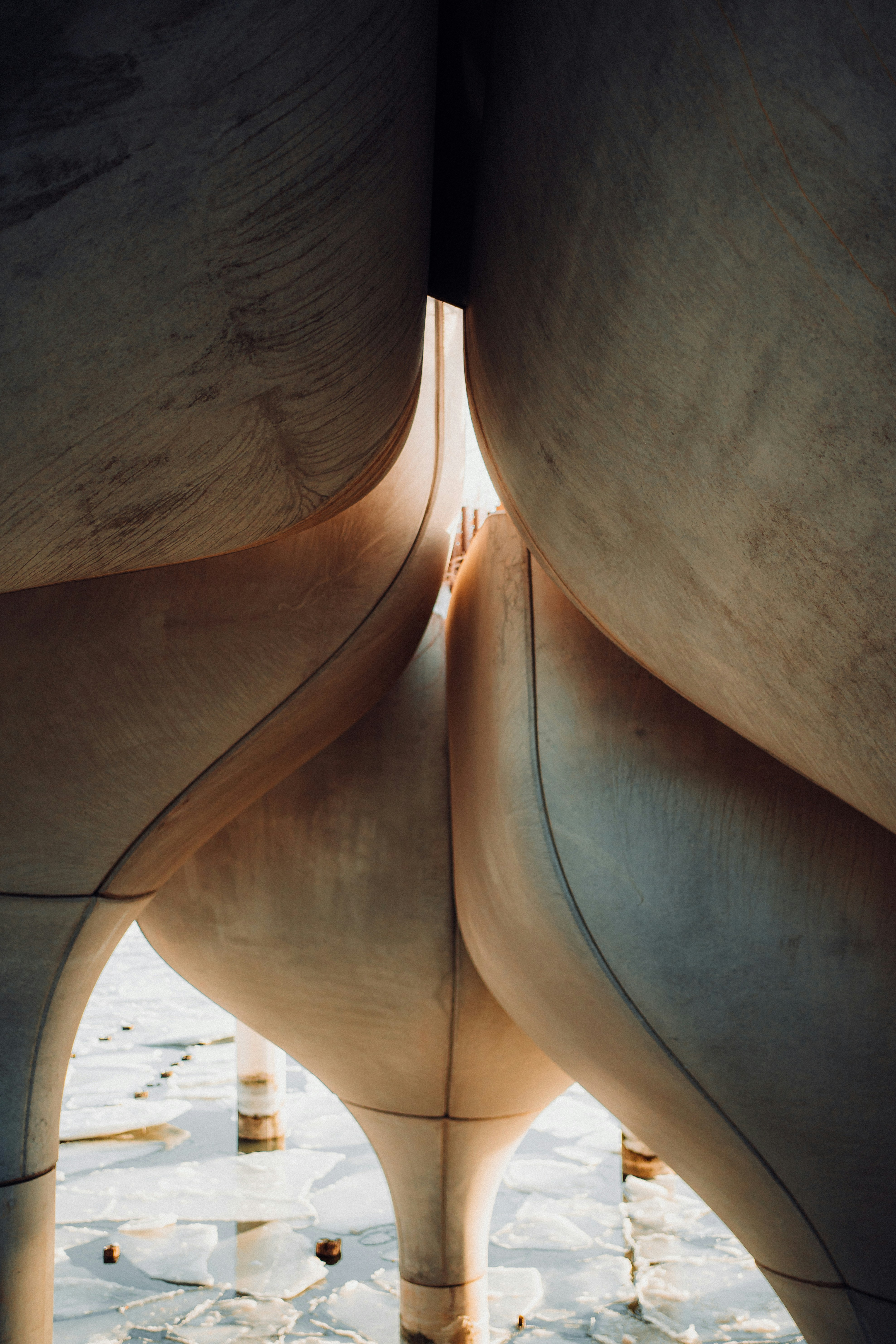 Sculpted Vessel Arches: Light Between Concrete Curves