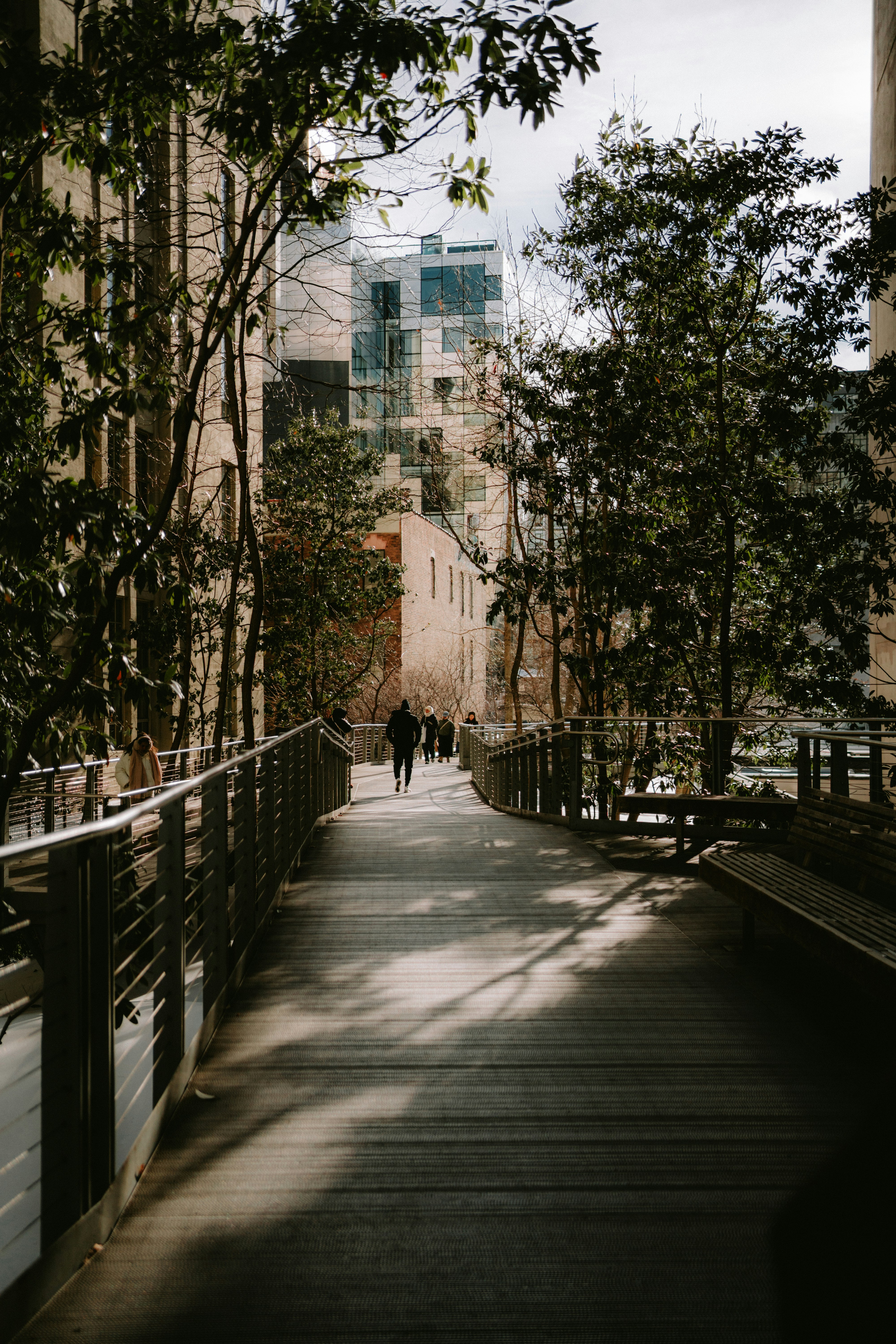 Walkway Through Urban Green: Friends in a Sunlit Corridor