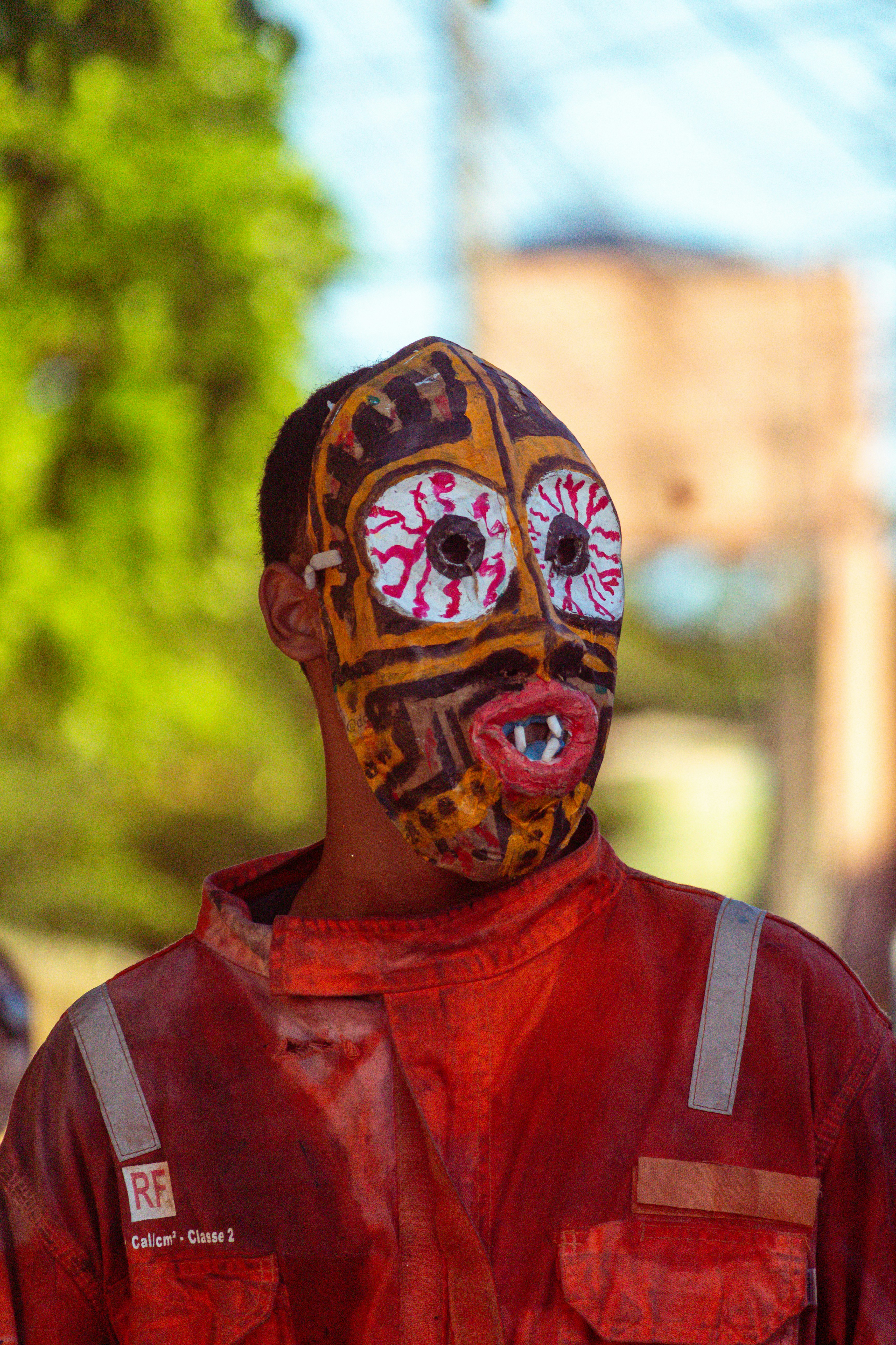Masked Contemplation: A Portrait Behind a Painted Veil
