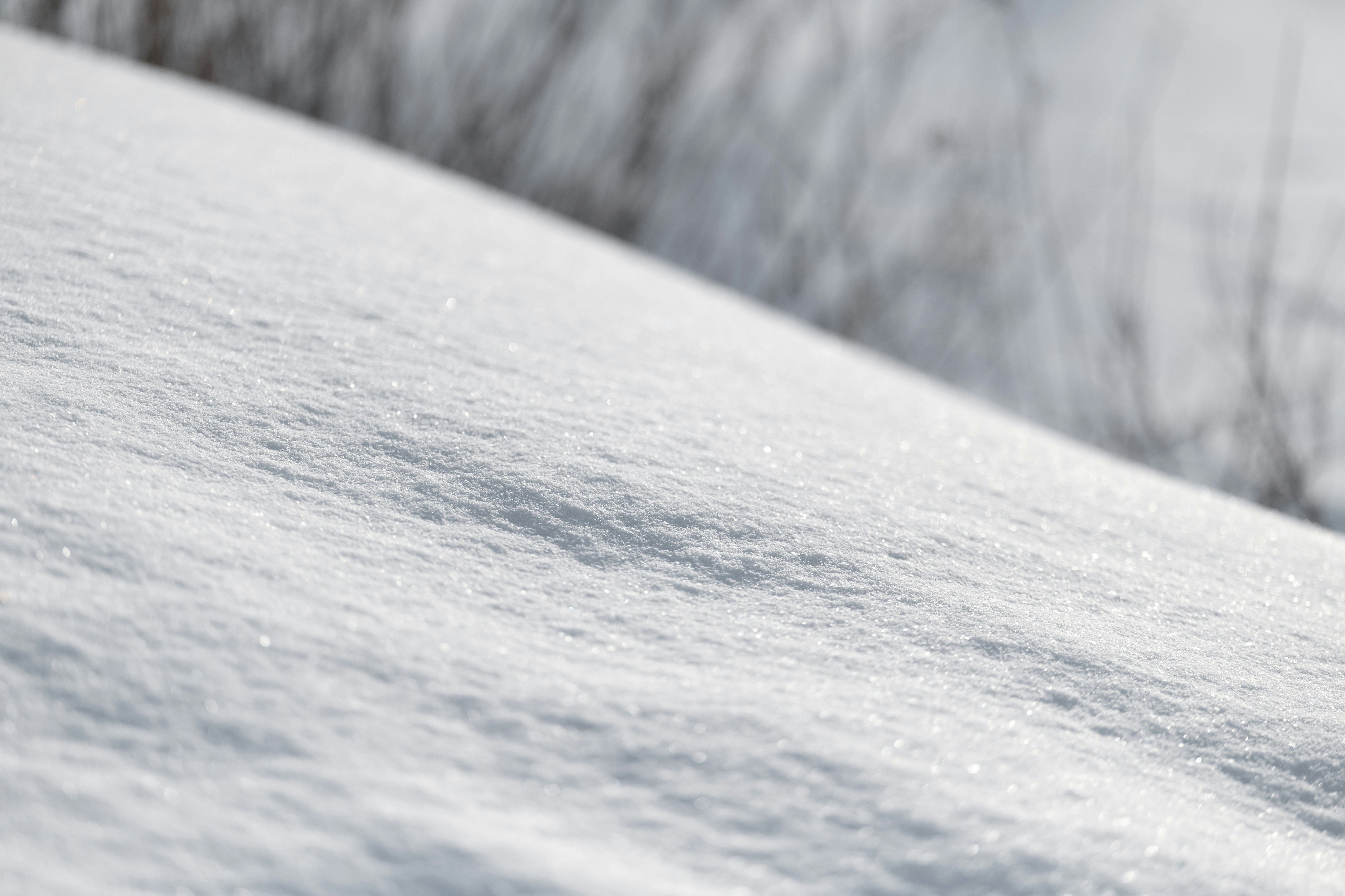 Whitened Slope: Quiet Snowfield with Subtle Texture
