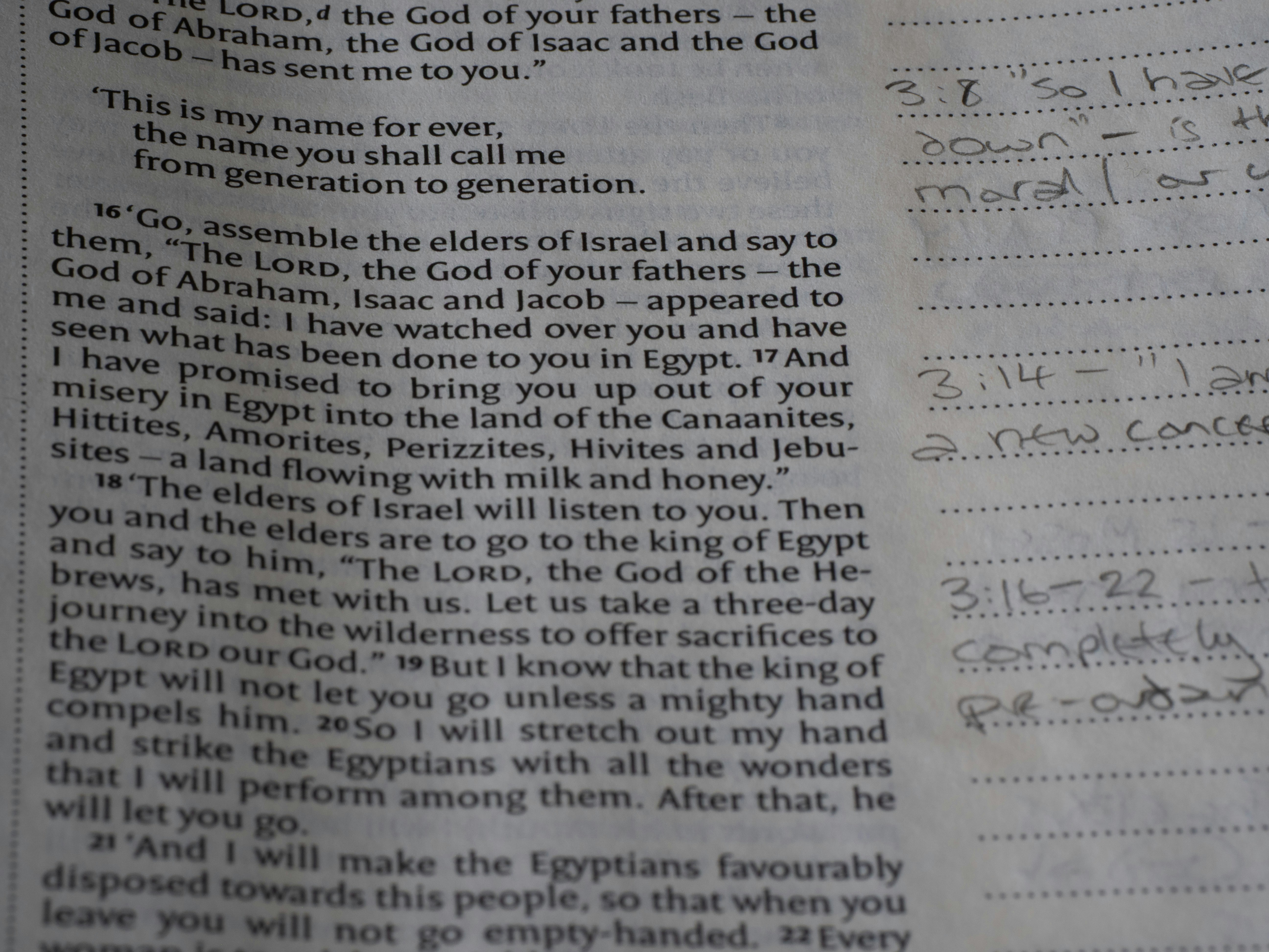 Scripture Planes: A Close Reading of Ancient Texts in a Dim Library