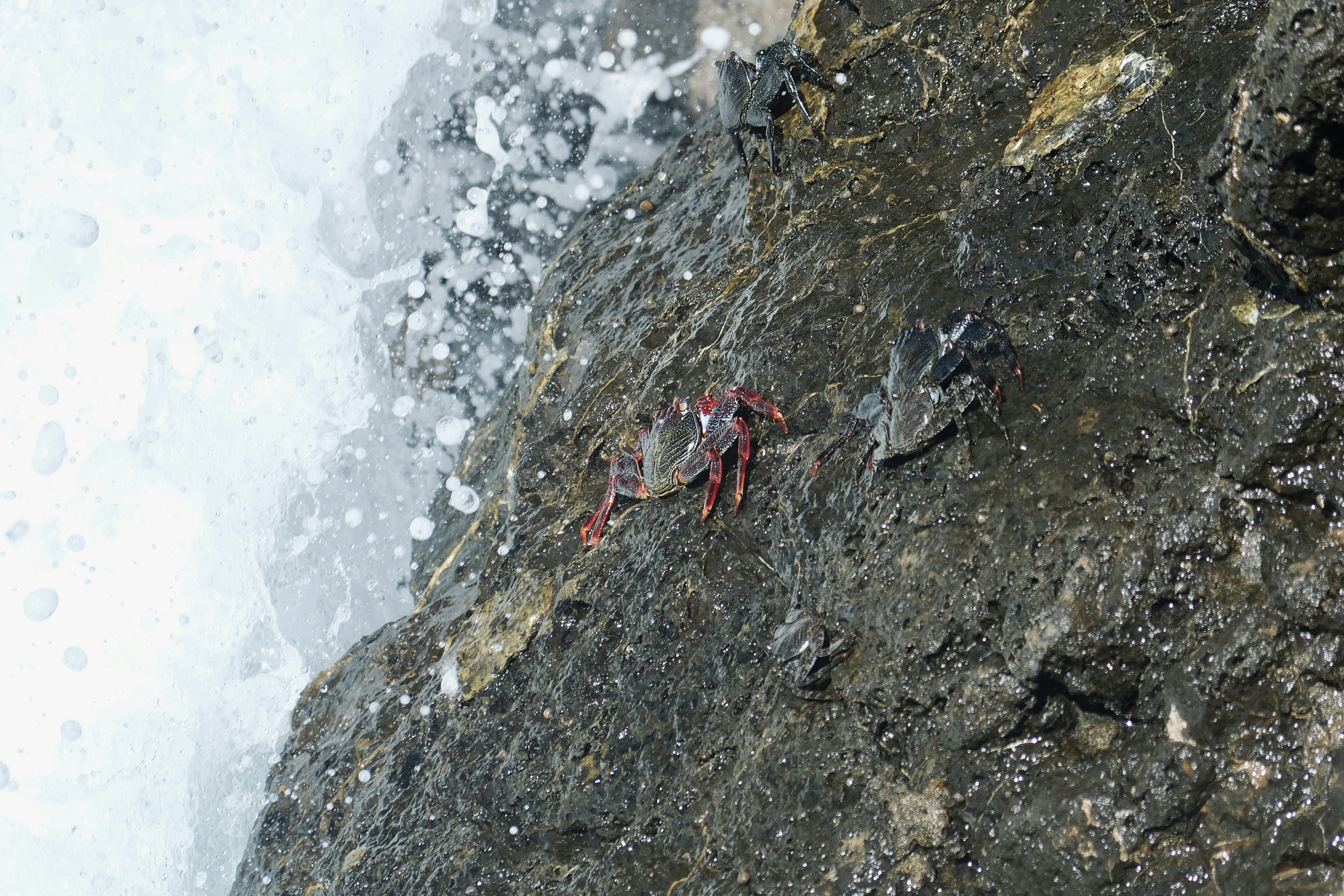 Red-clad climbers gripping a jagged cliff in a misty sea-kiss