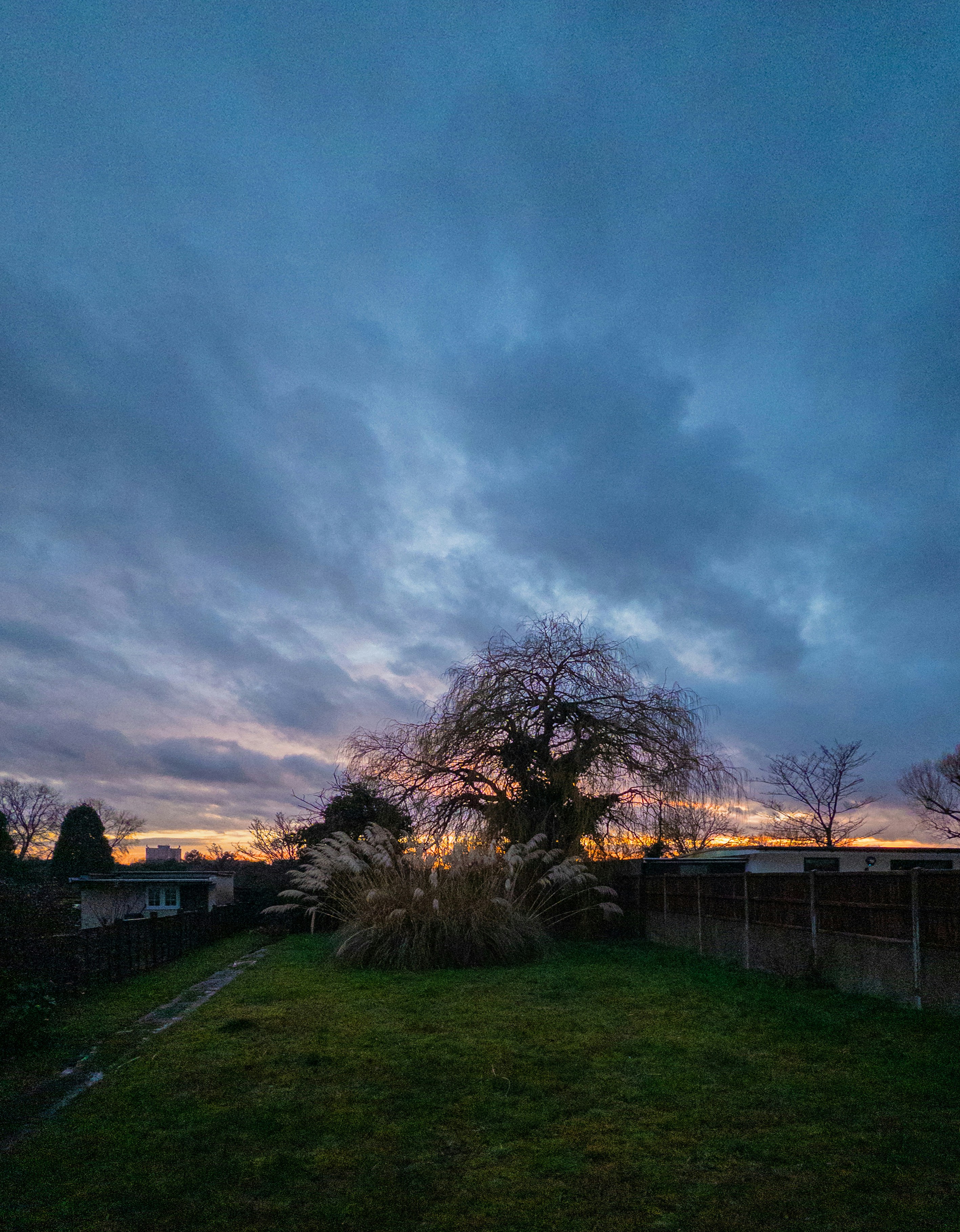 Twilight Orchard: Tree Silhouette Amid a Sunset Glow