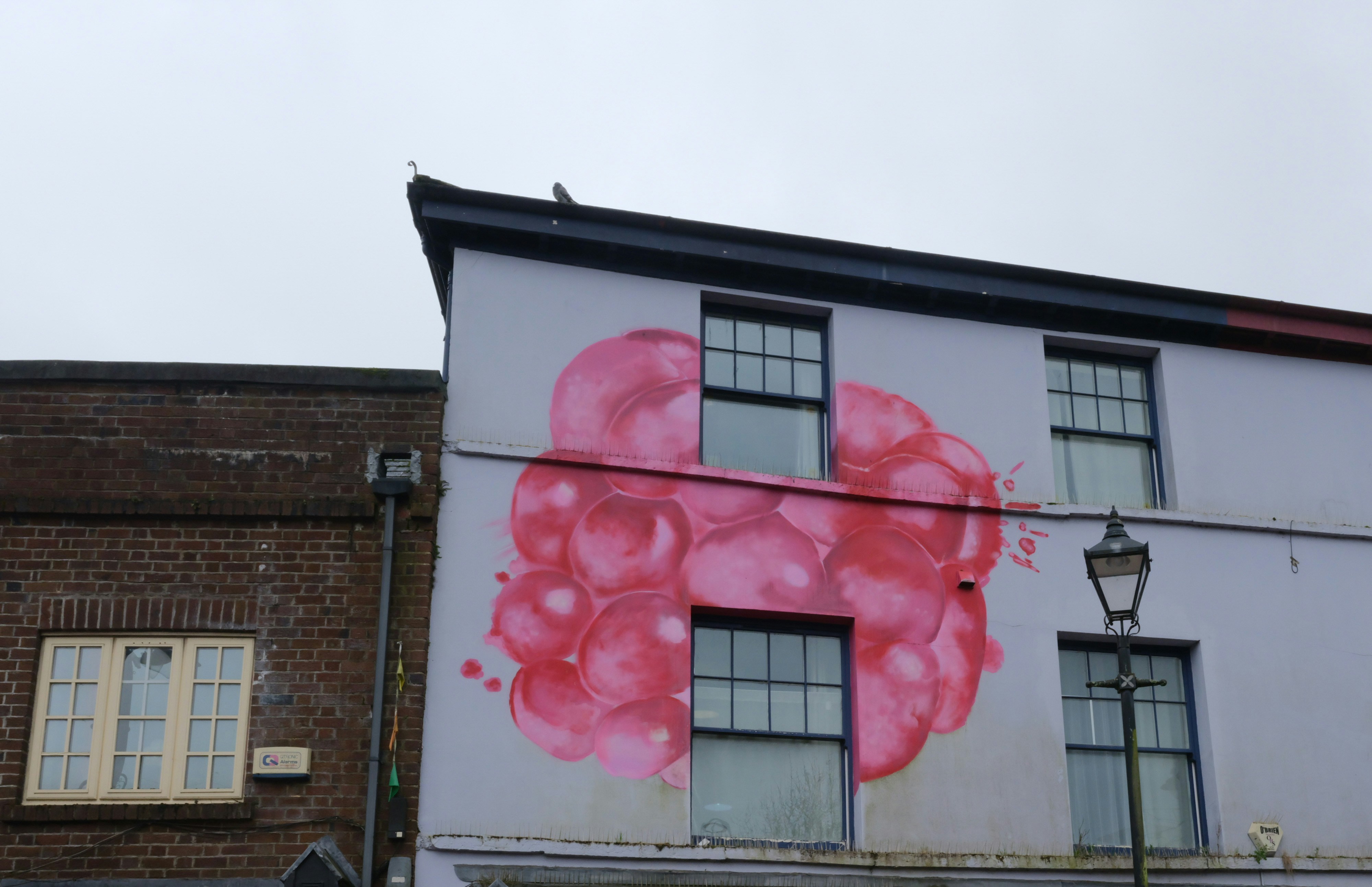 Pink Cloud Graffiti Framing a Windowed Wall