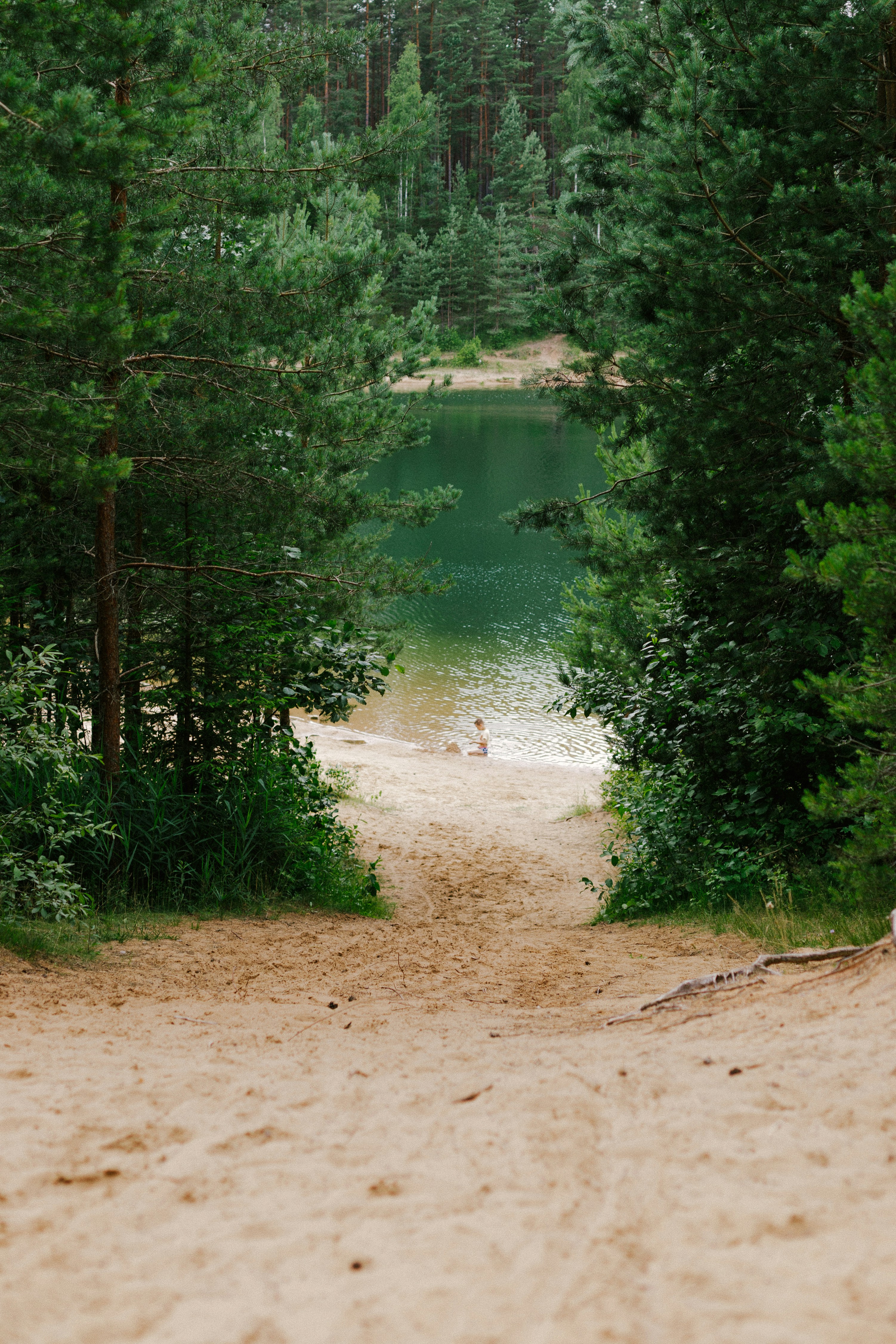 Hidden Shorefall: A Sandy Path Framing a Quiet Lakeside