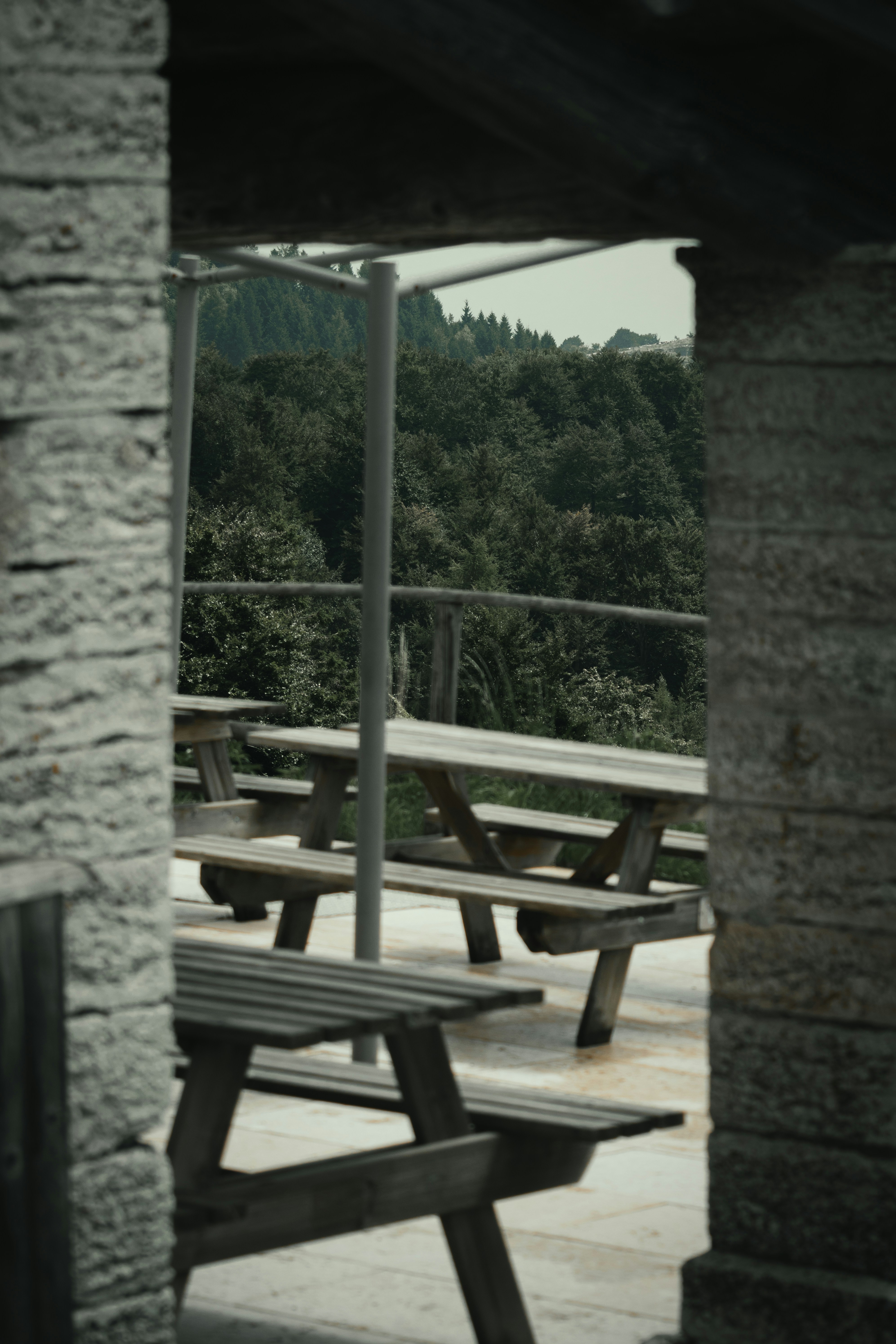 Hidden Terrace: Picnic Tables Framed by Stone Walls and Green Forest