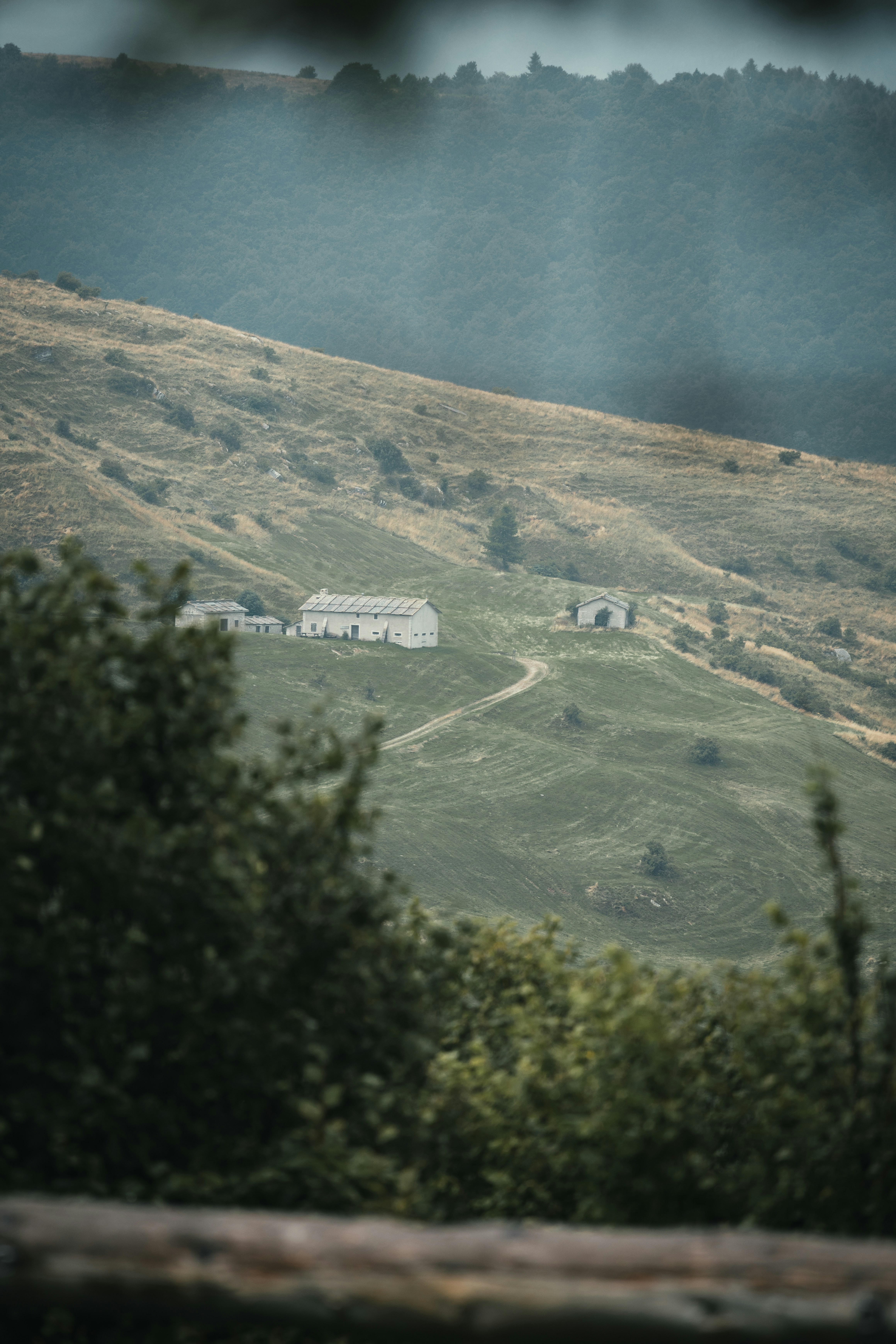 Smoky hillside farmstead tucked beneath drifting mist