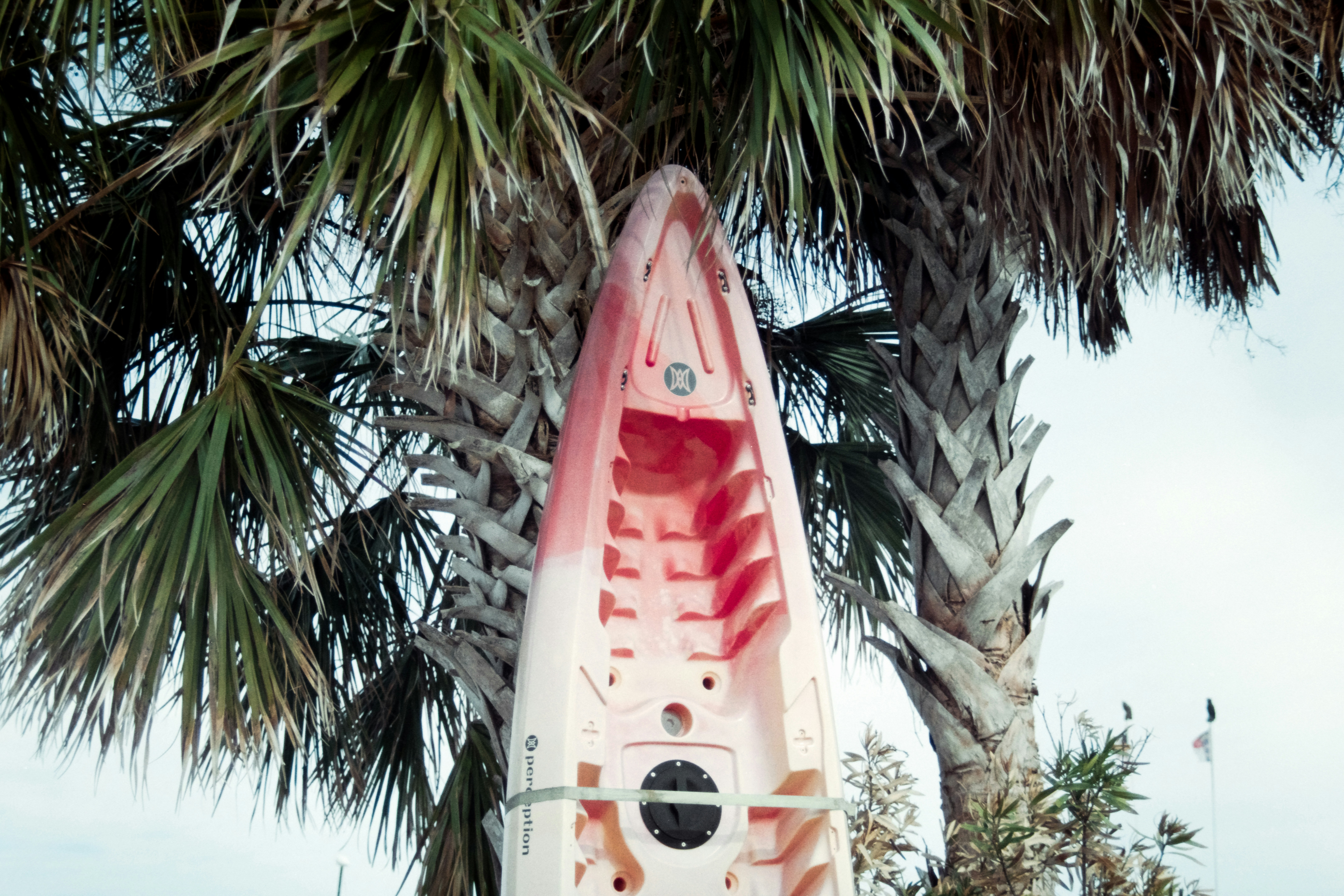 High Tide Message: Kayak Resting Between Palm Shadows