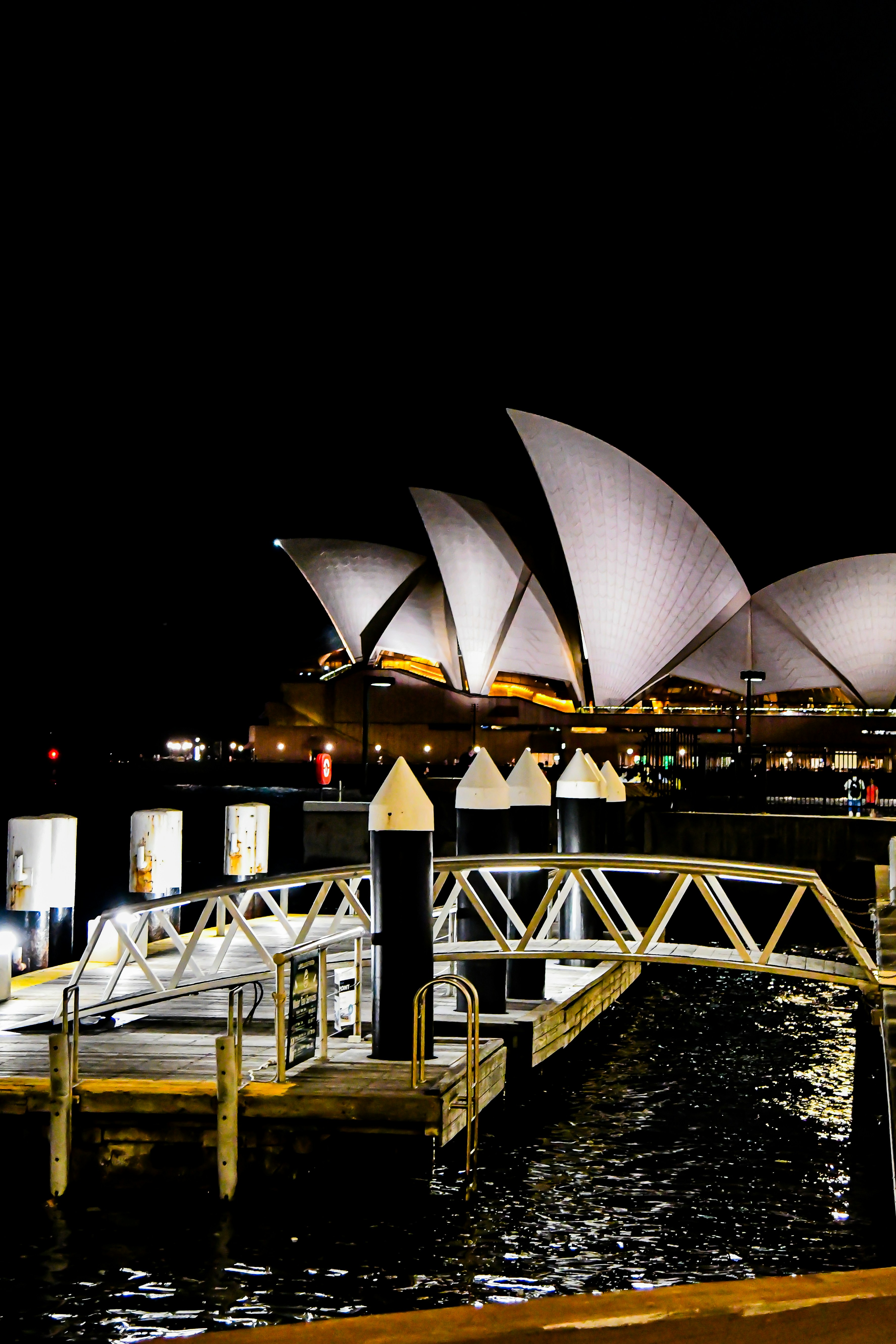 Dockside Night: The Opera Shells Beneath the Lights