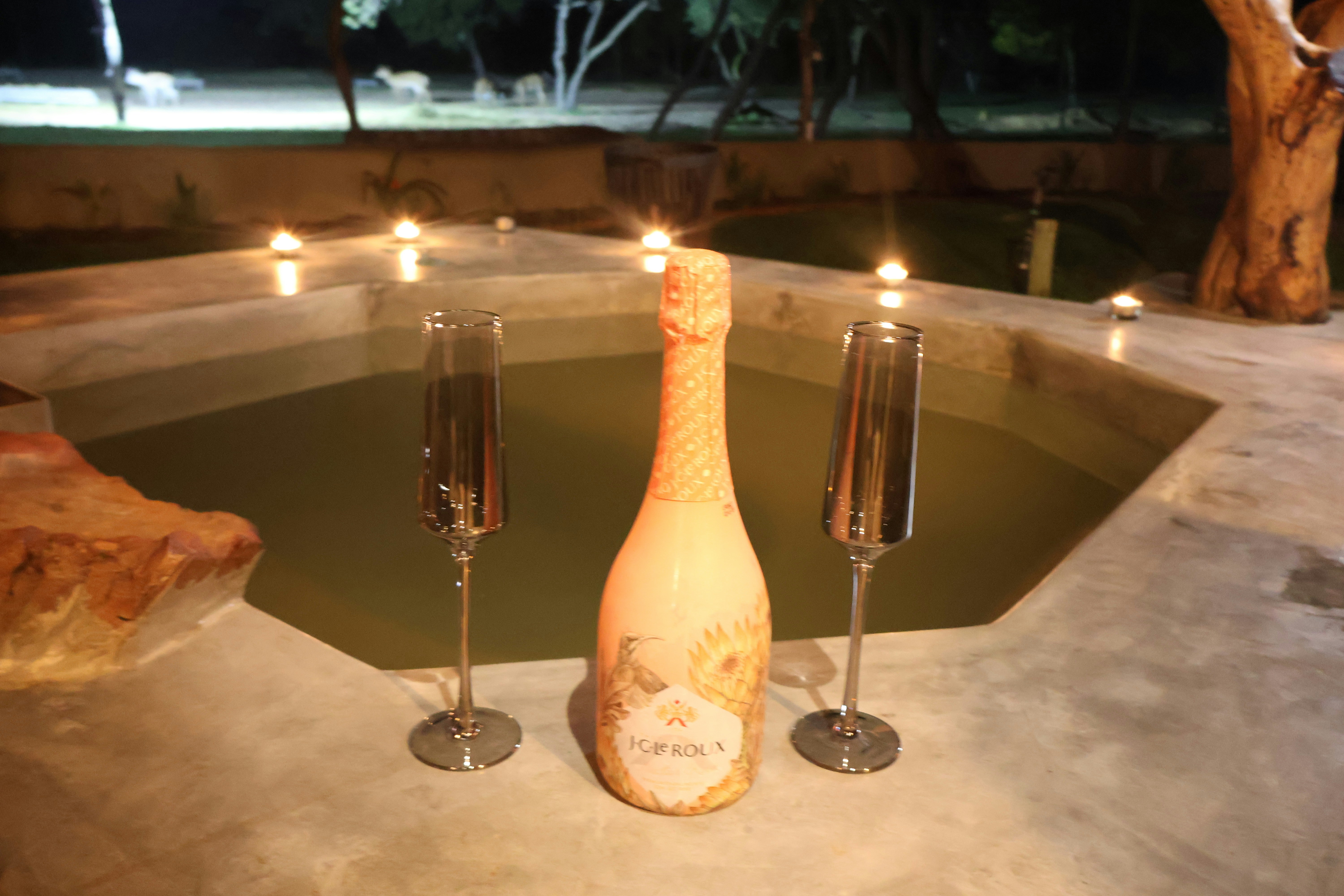 Champagne by the Quiet Pool: a nightcap ritual