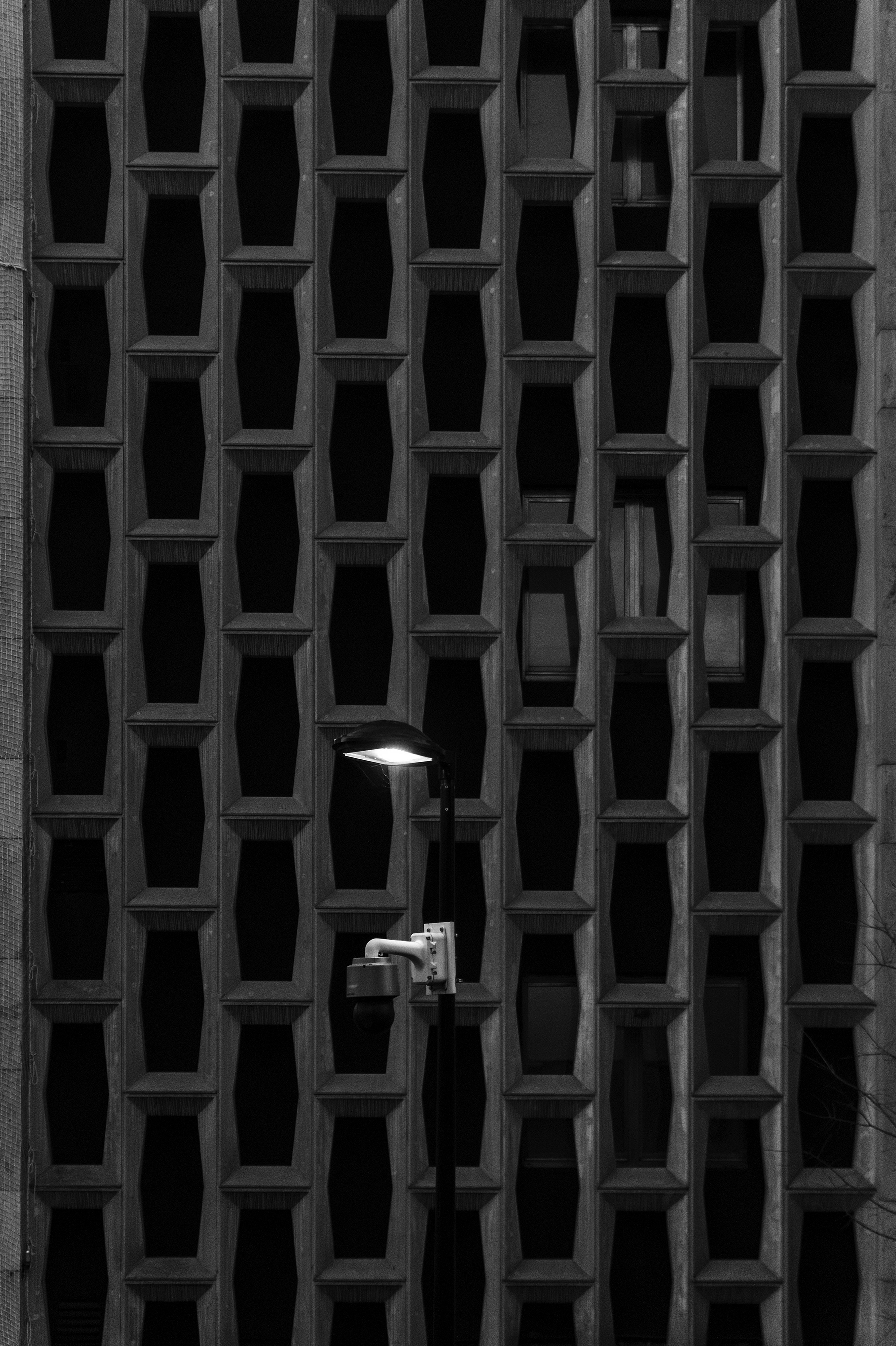 Midnight Grid: A Streetlight Among Xenolithic Facades