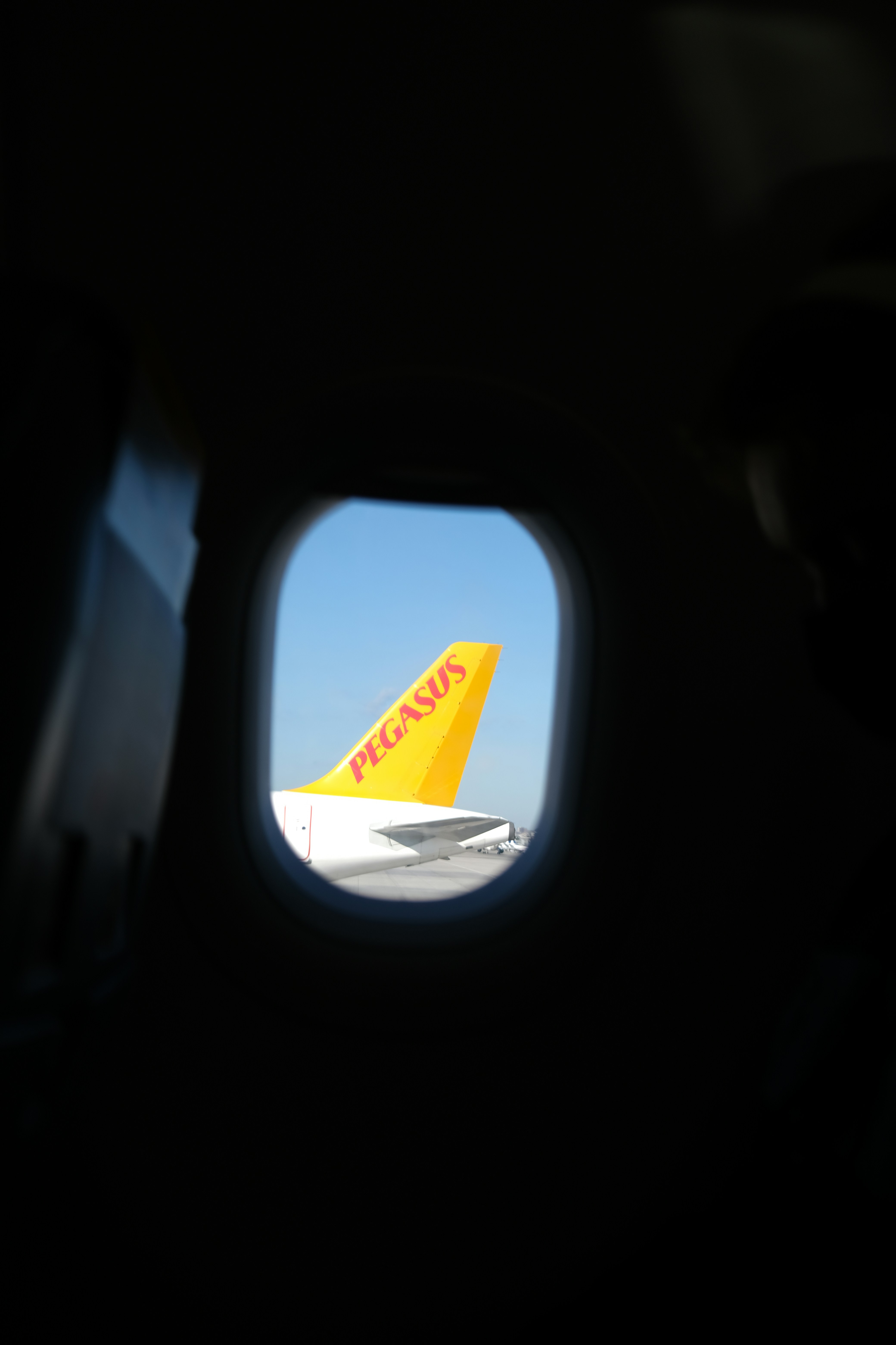 Pegasus Tail in Blue Sky: A Window View from Inside