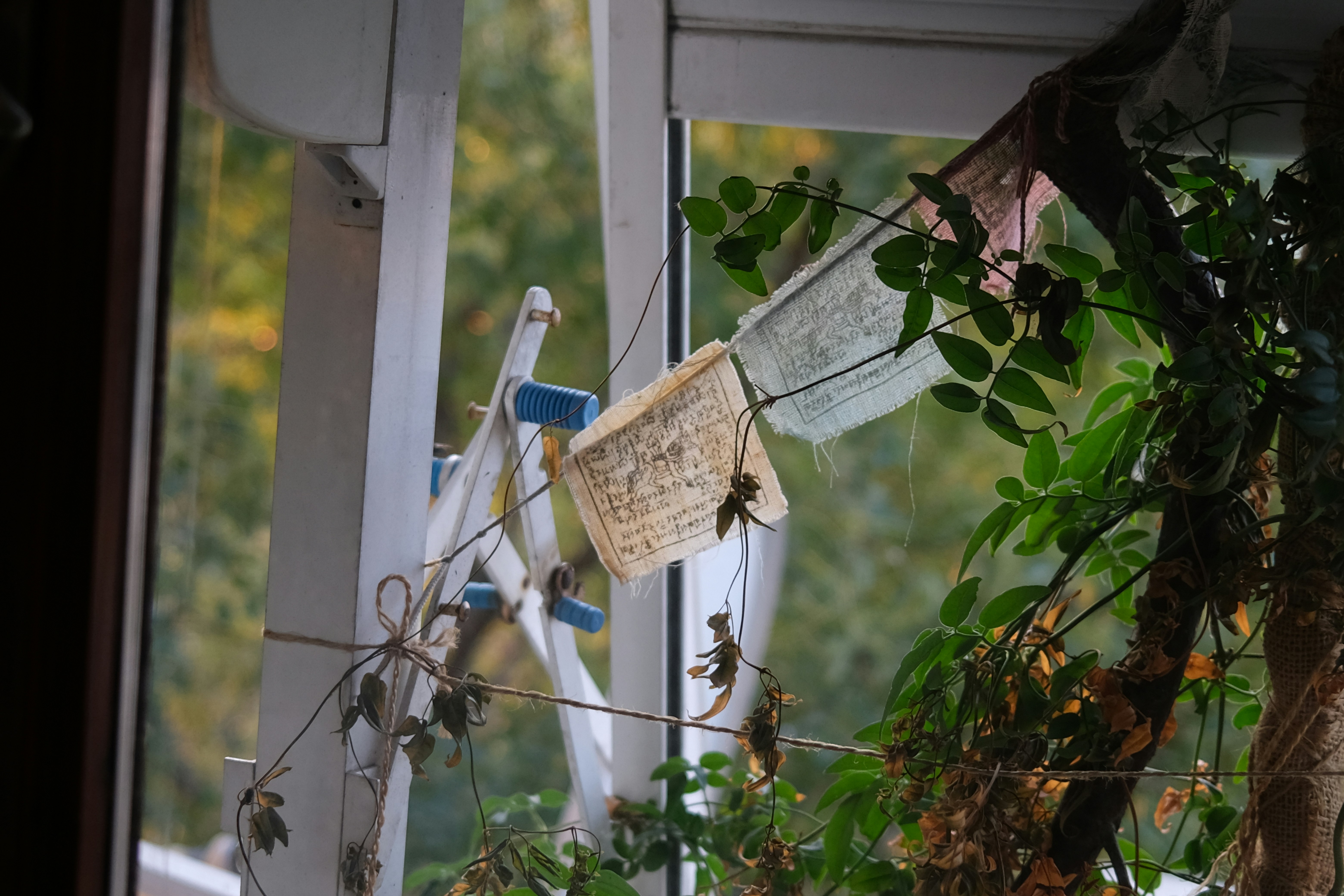 Spider and drying cloth on a sunlit balcony garden