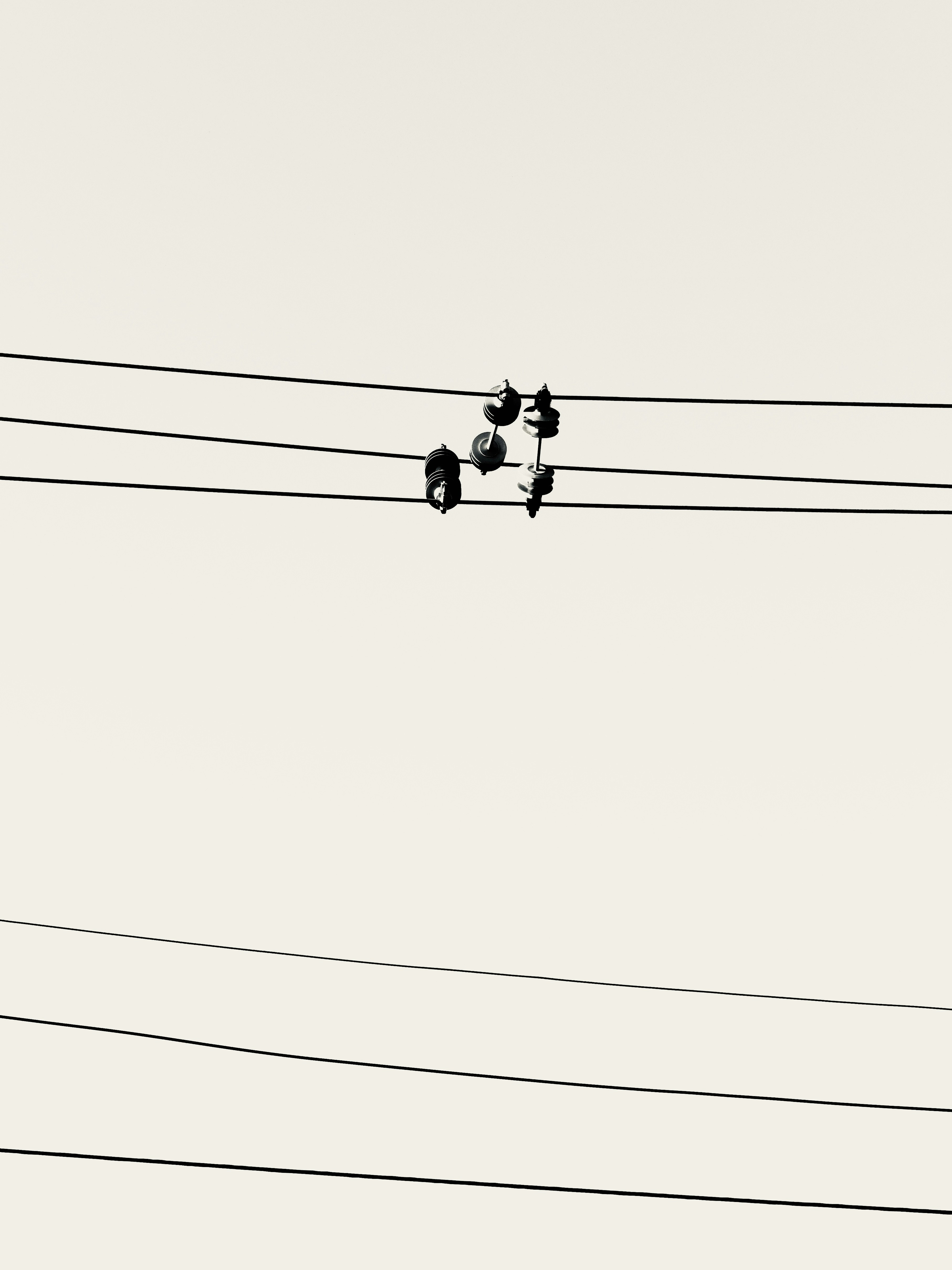 Wire Choir: Birds Perched in Silent Line Across the Sky