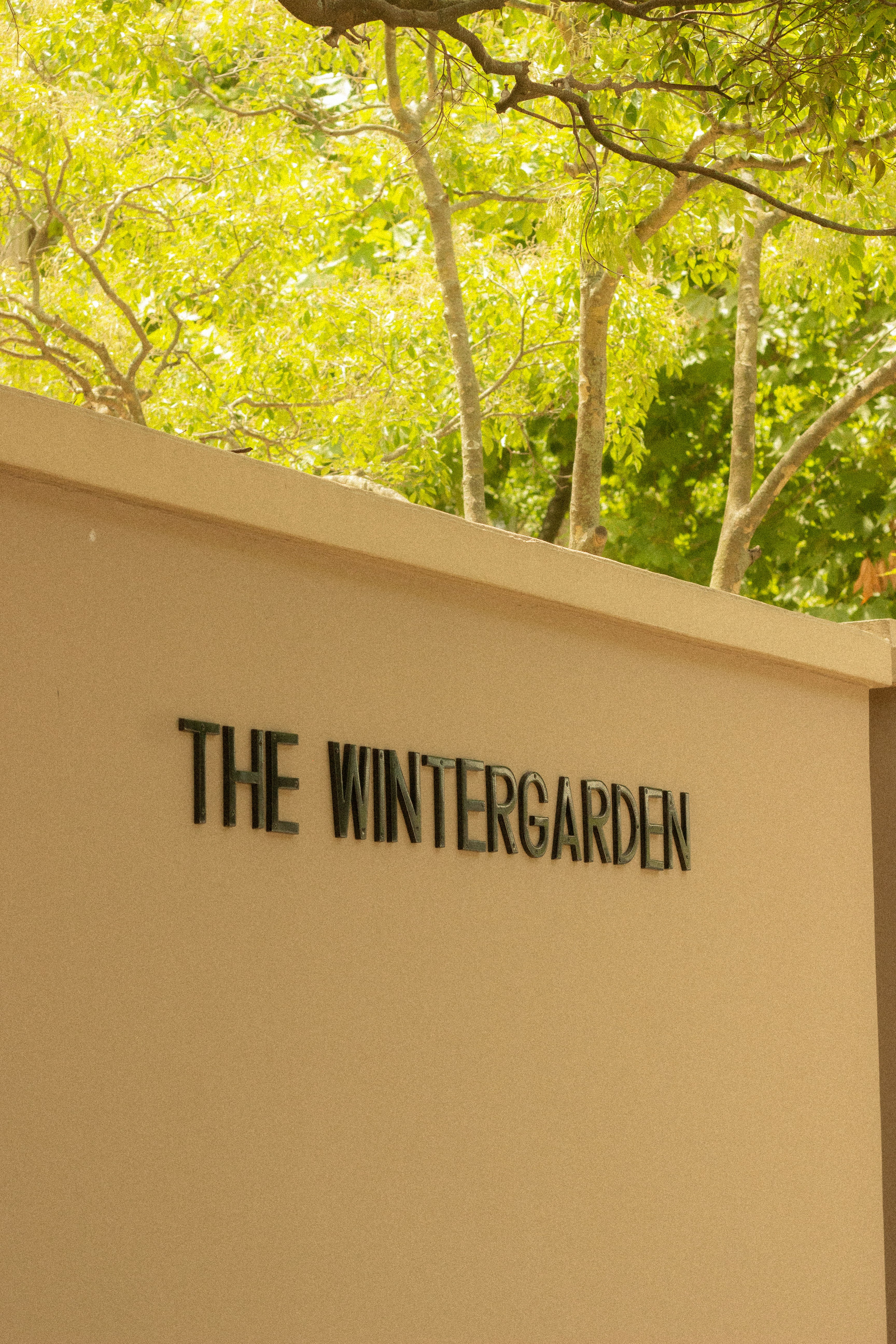 The Winter Garden Signage Against a Sunlit Canopy
